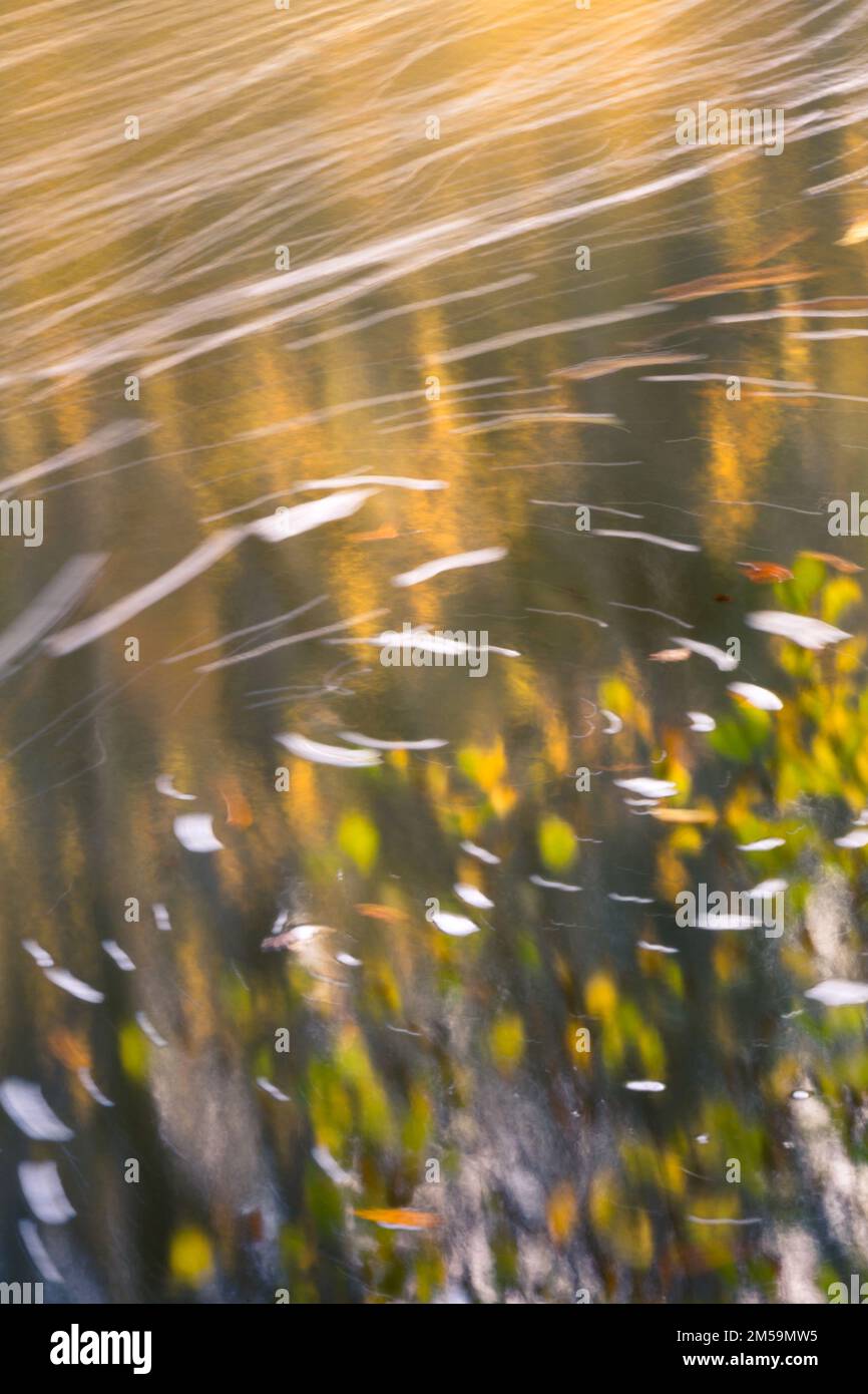 Long exposure abstract images of golden Autumn leaves on rivers with ...
