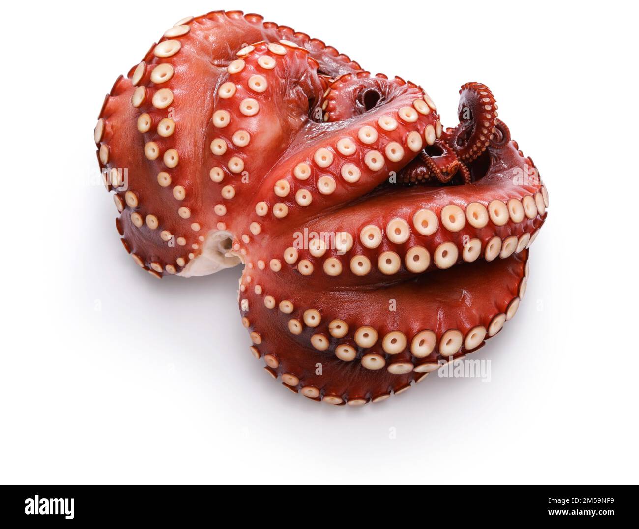 boiled octopus, a Japanese cuisine ingredient Stock Photo - Alamy