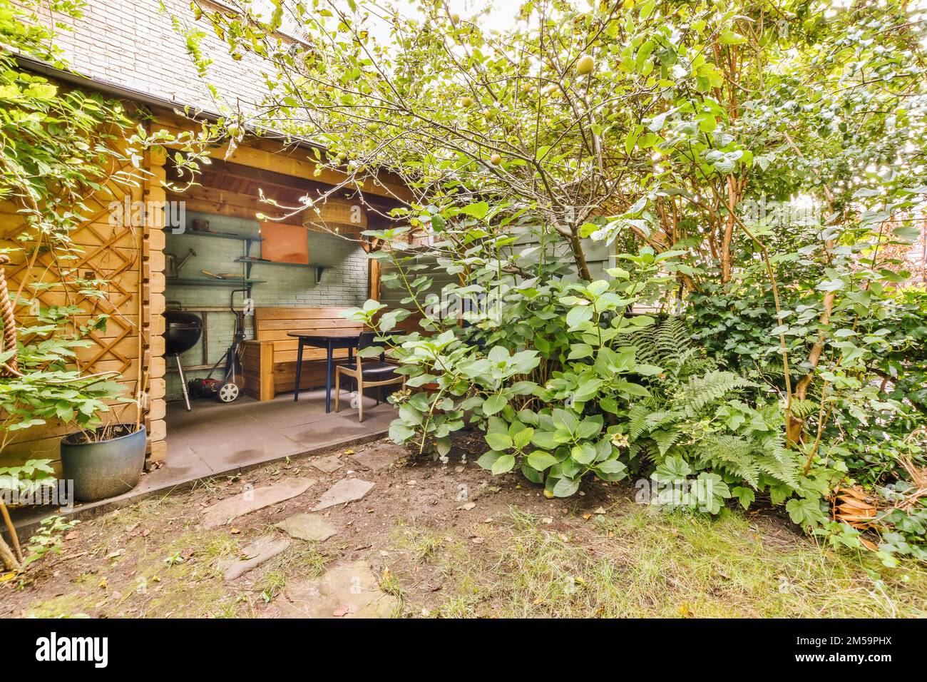 an outside area with trees and plants in the fore - image is taken from ...