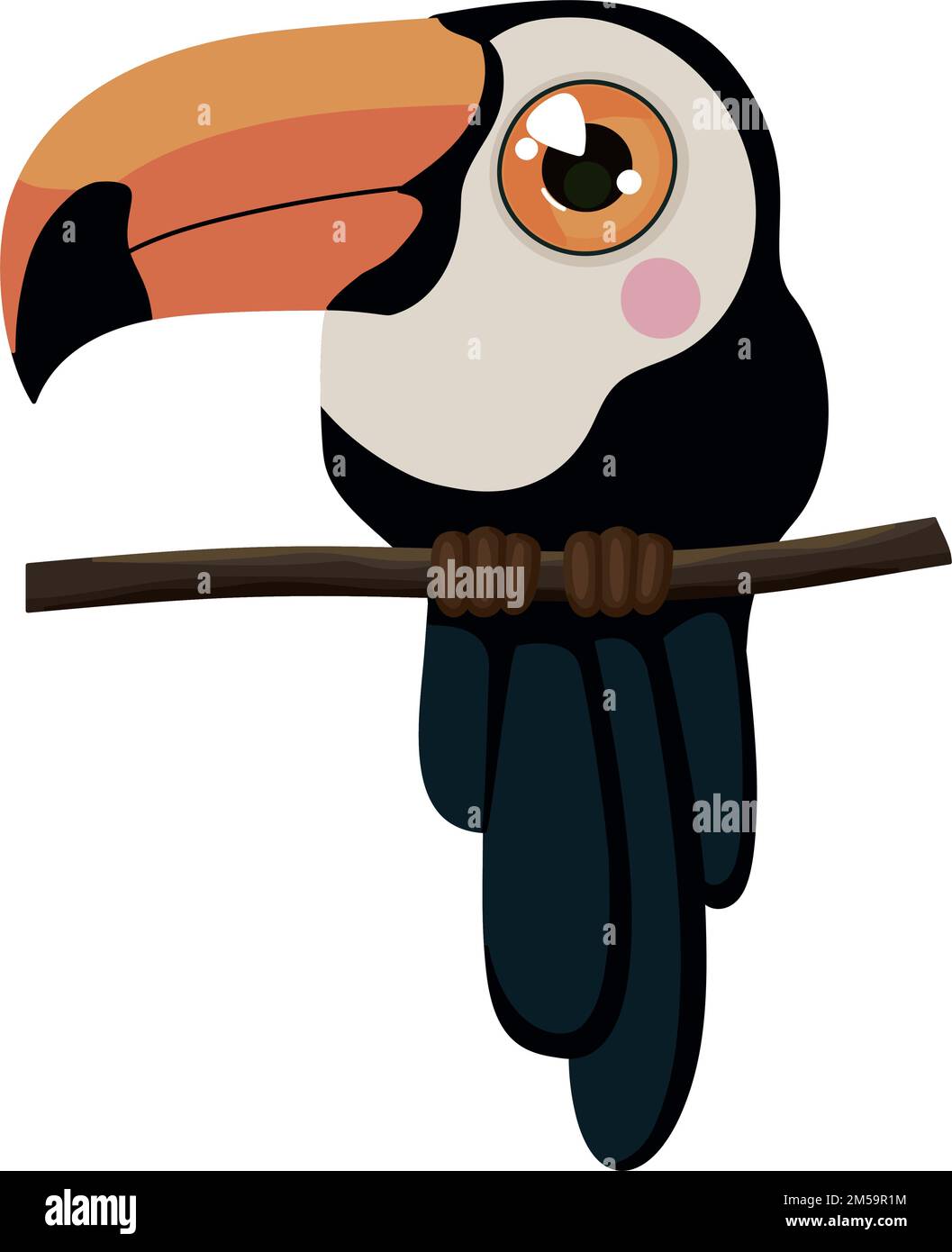 cute toucan design Stock Vector Image & Art - Alamy