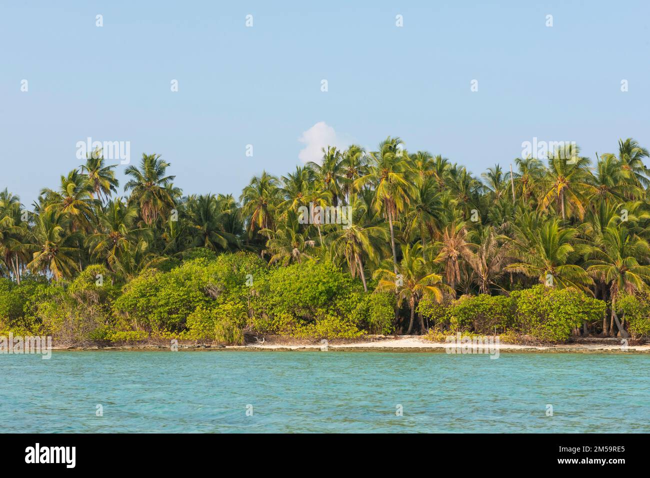 Remote tropical island paradise with shallow lagoon in ocean and thick ...