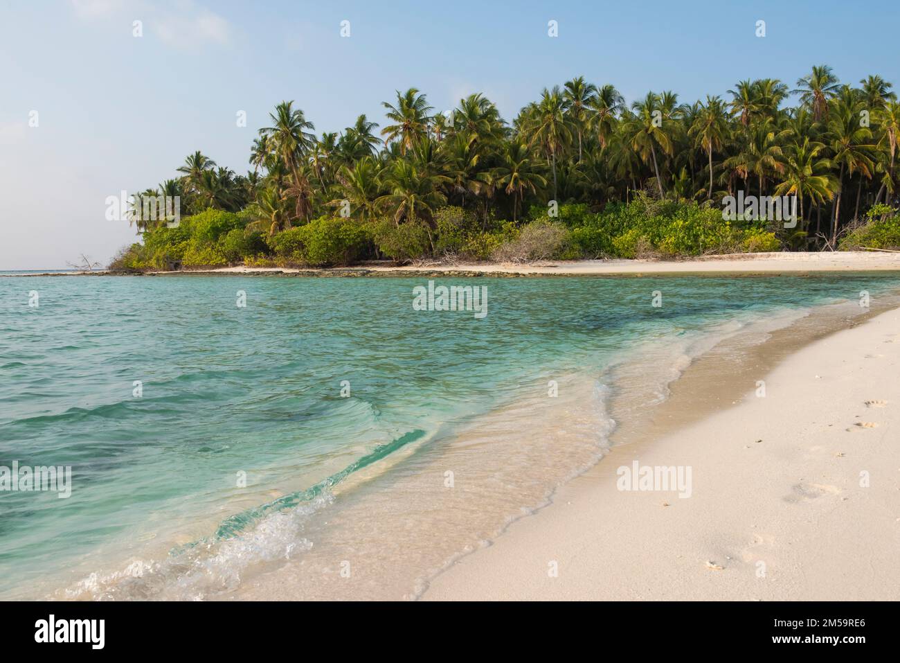 Remote tropical island paradise with shallow lagoon in ocean and thick ...