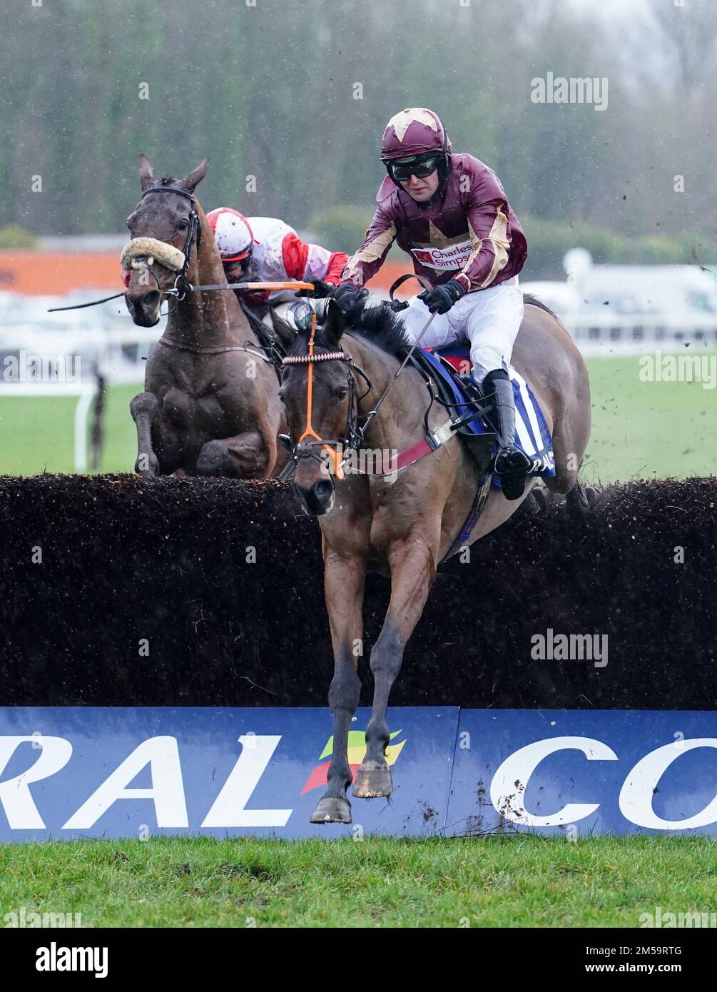 The Two Amigos ridden by David Prichard clears a fence before going on ...