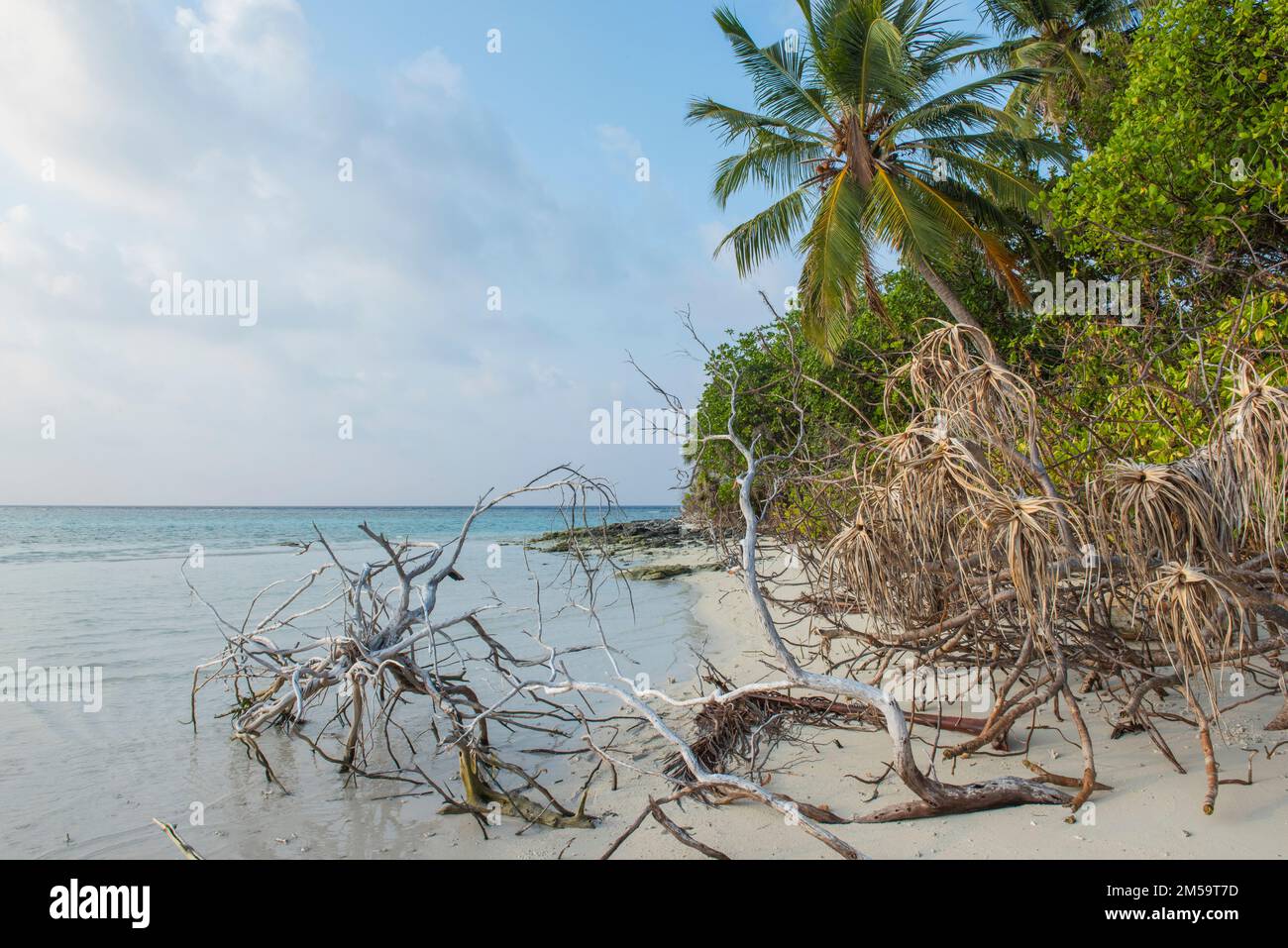 Remote tropical island paradise shoreline with shallow lagoon in ocean ...