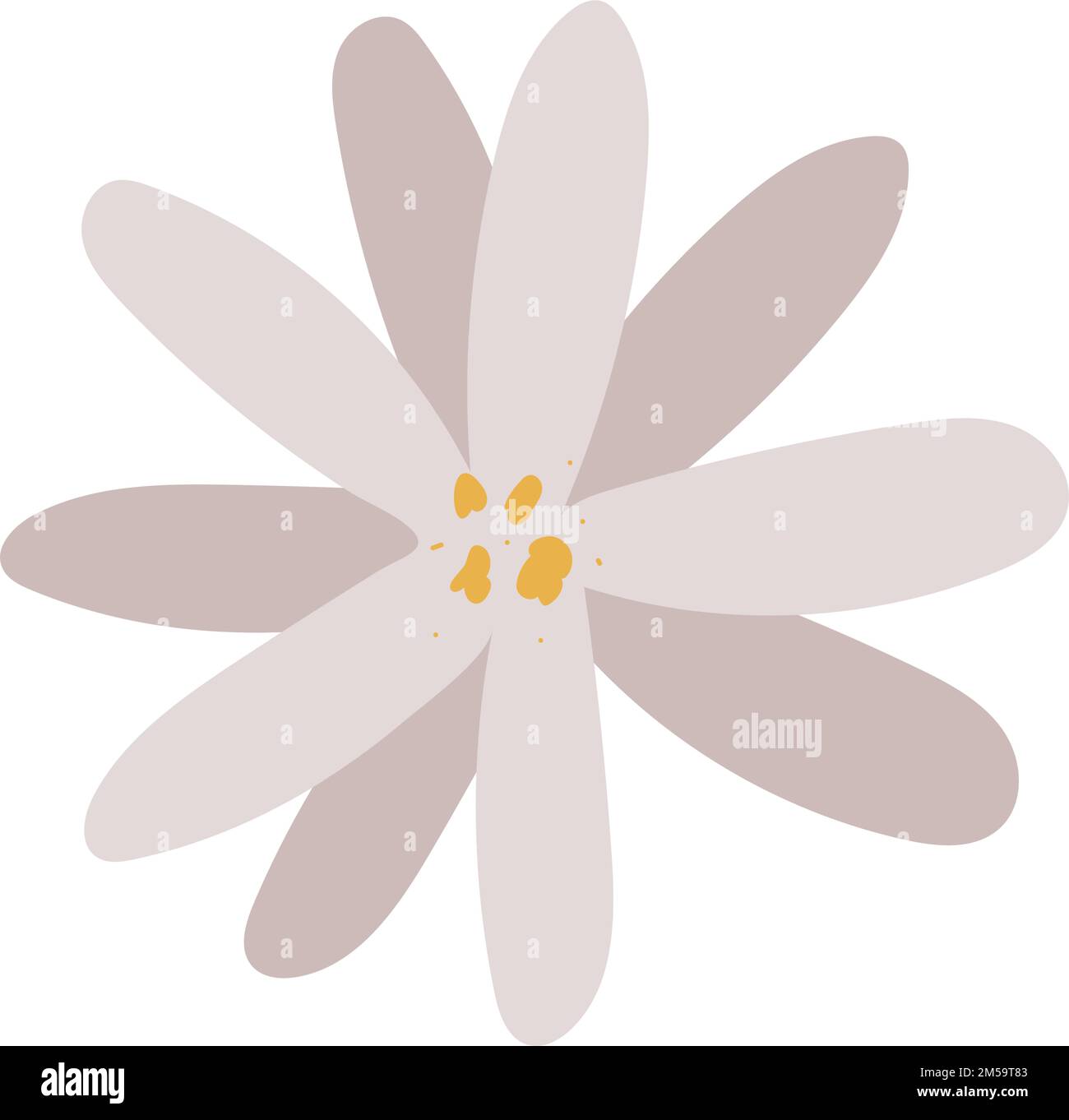 white flower illustration Stock Vector Image & Art - Alamy