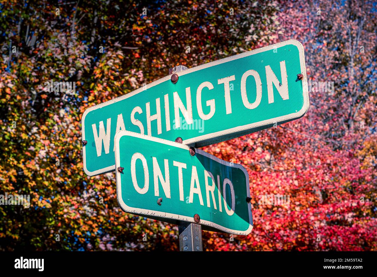Road and street signs in North America USA Stock Photo - Alamy