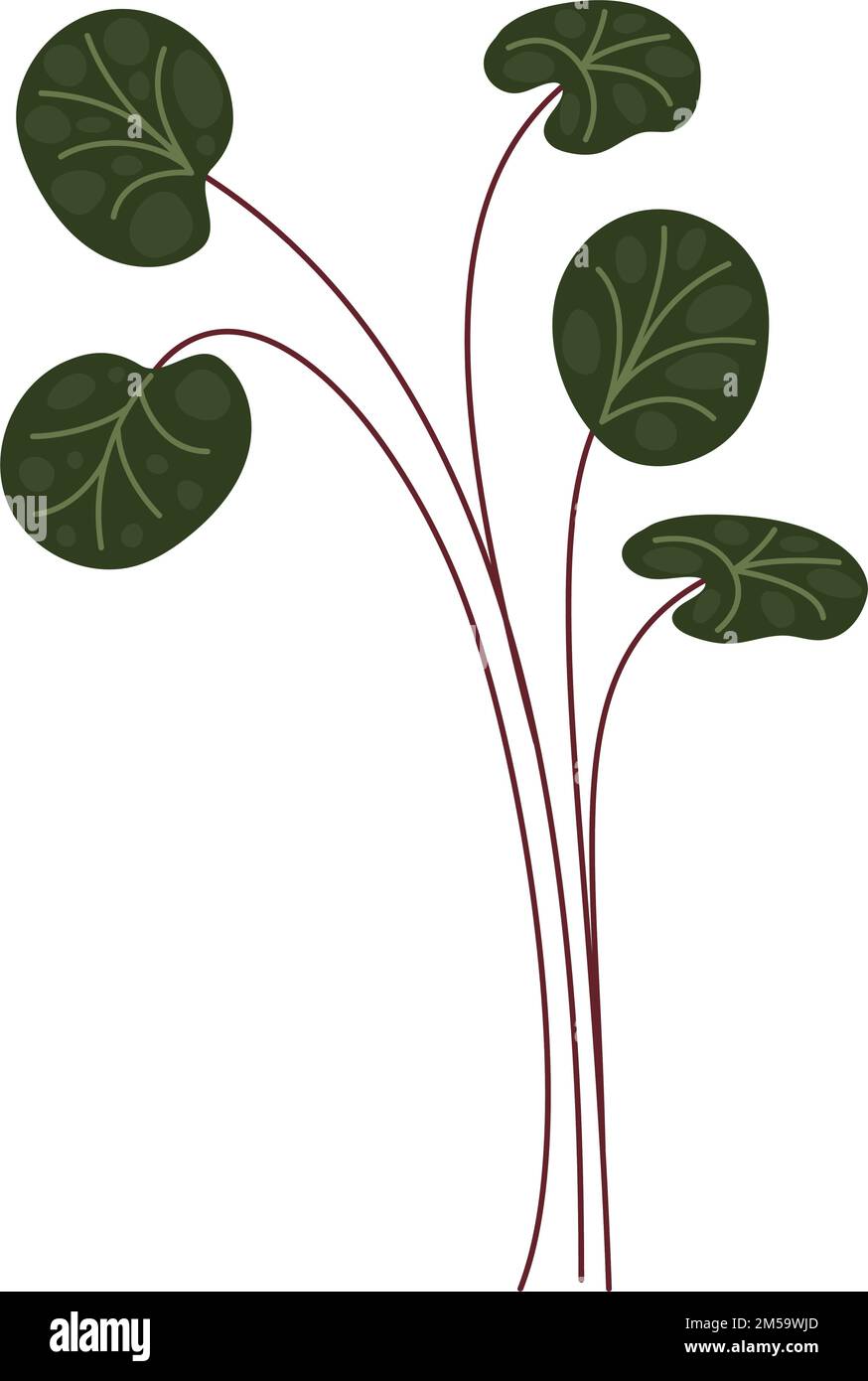 plant branch design Stock Vector Image & Art - Alamy