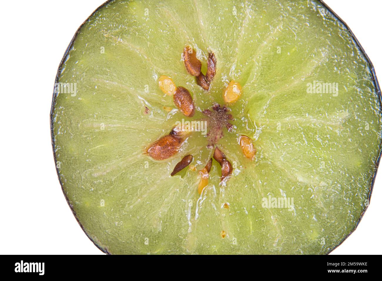 Seeds feature hi-res stock photography and images - Alamy