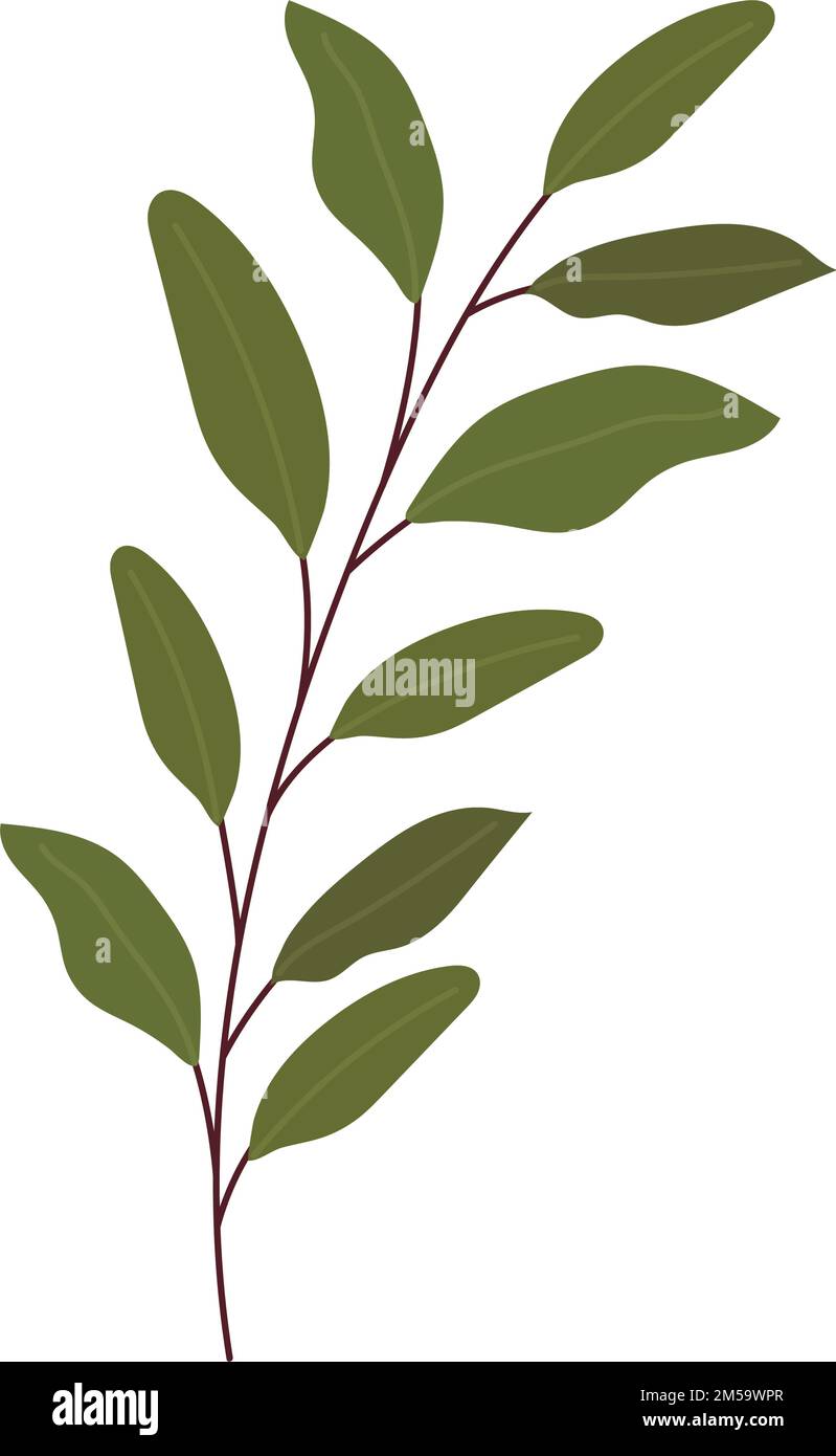 plant branch illustration Stock Vector Image & Art - Alamy