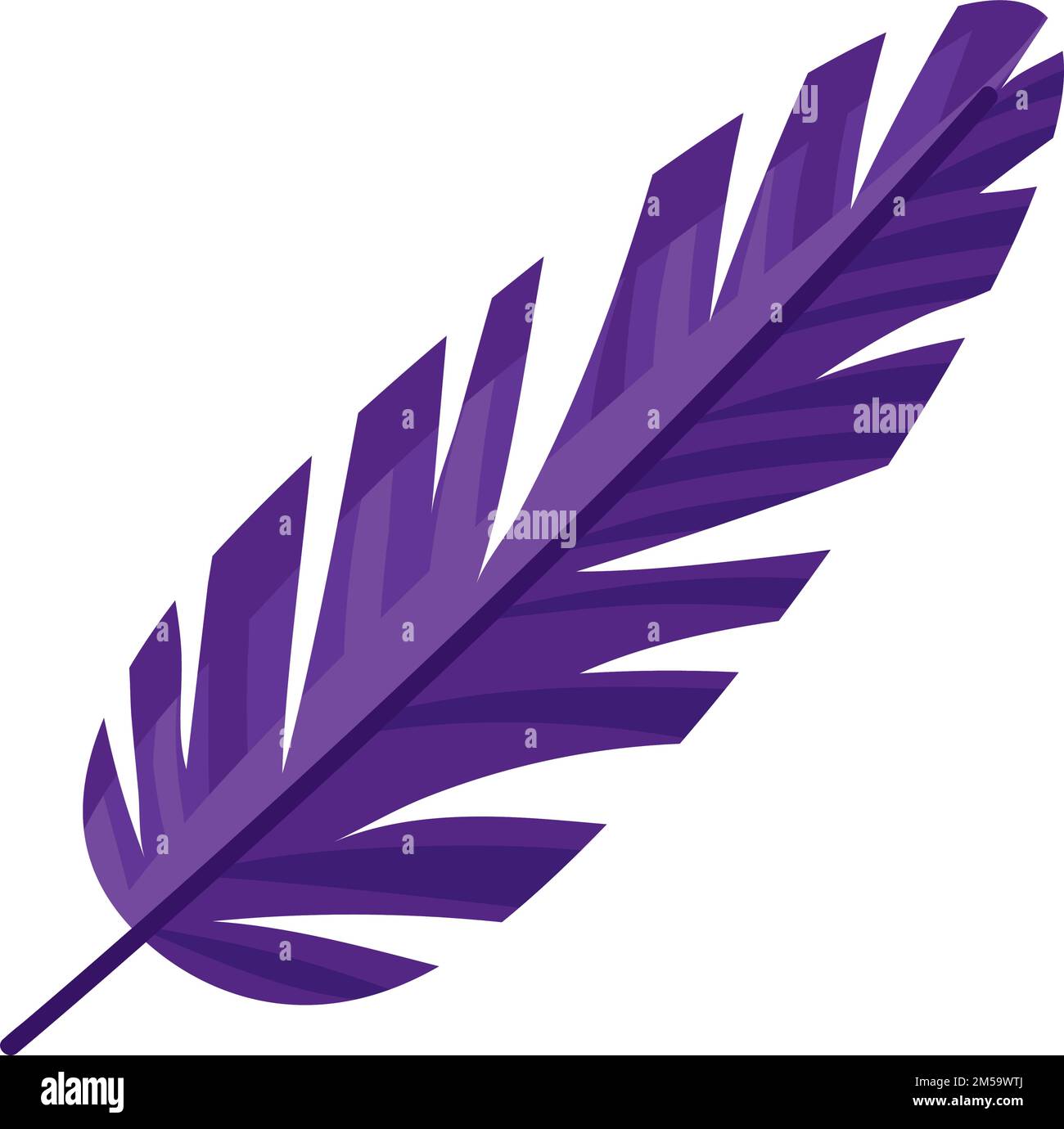 purple feather vector Stock Vector Image & Art - Alamy