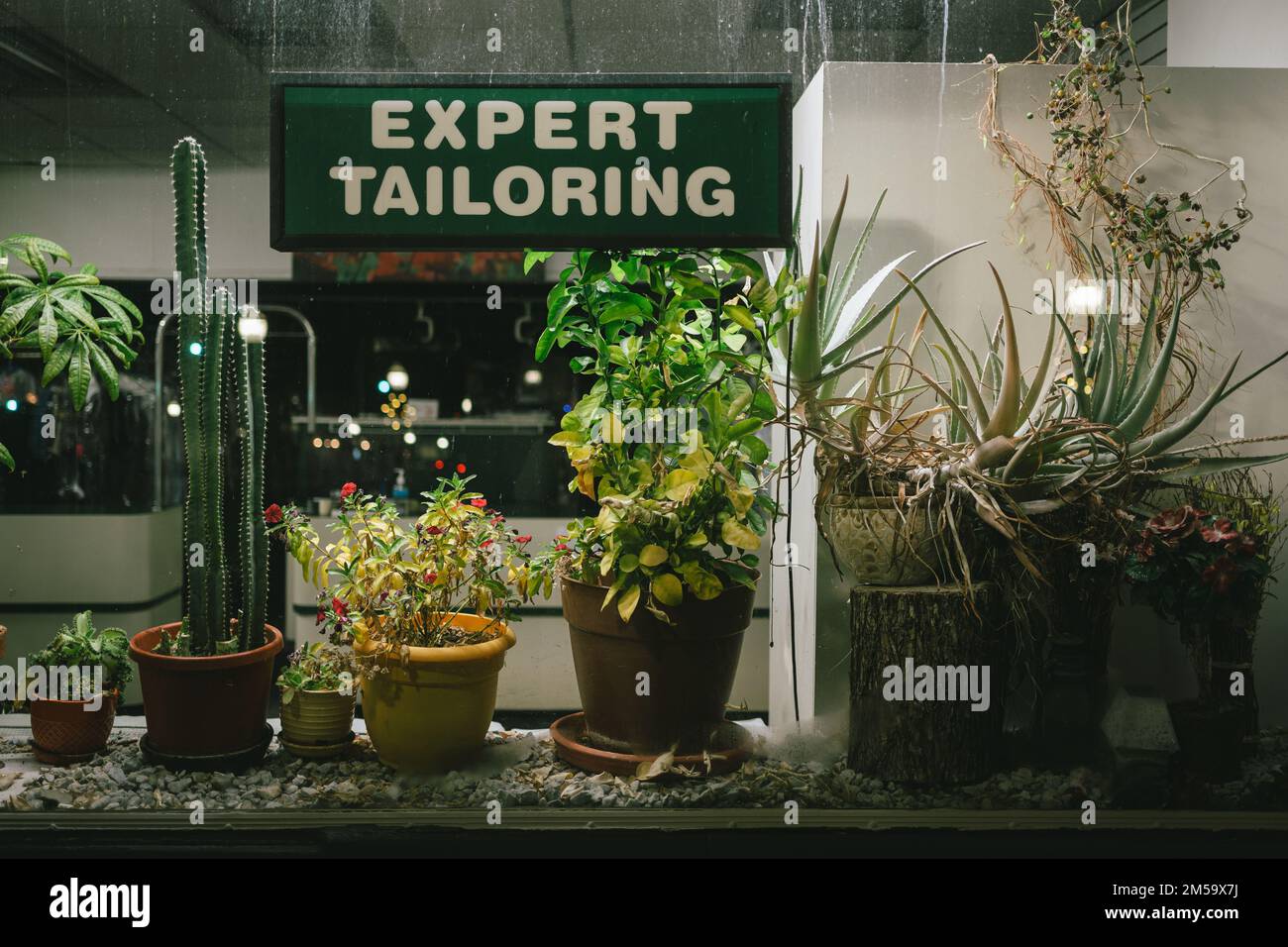 Expert Tailoring sign with plants, Cranford, New Jersey Stock Photo - Alamy