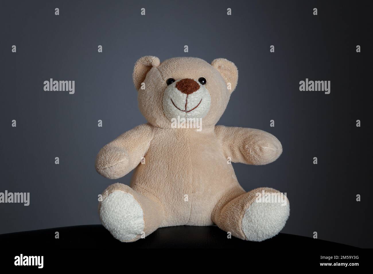 cute teddy bear sits and smiles Stock Photo - Alamy