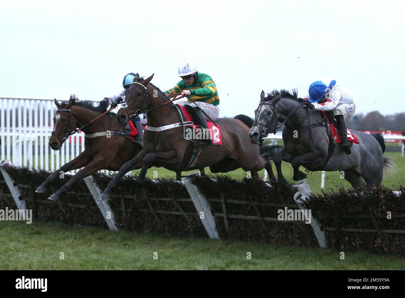 No ordinary joe horse hi-res stock photography and images - Alamy