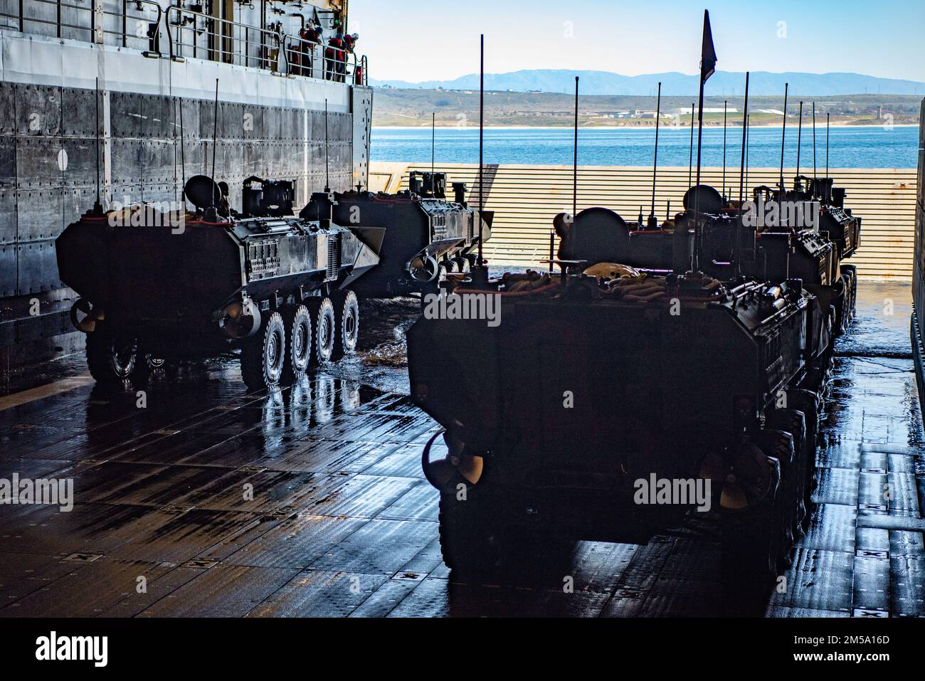 U.S. Marines assigned to the 3rd Assault Amphibian Battalion, 1st ...