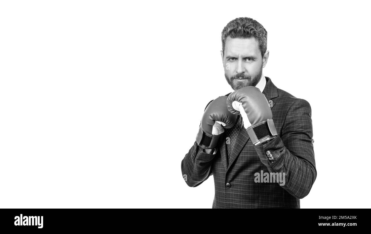 Director wear boxing gloves. Standing in defensive position. Fighting ...