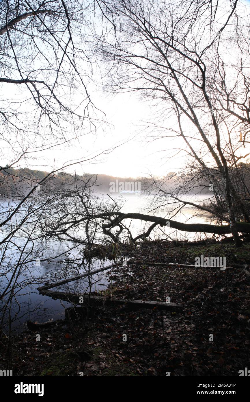 Bracebridge pool hi-res stock photography and images - Alamy