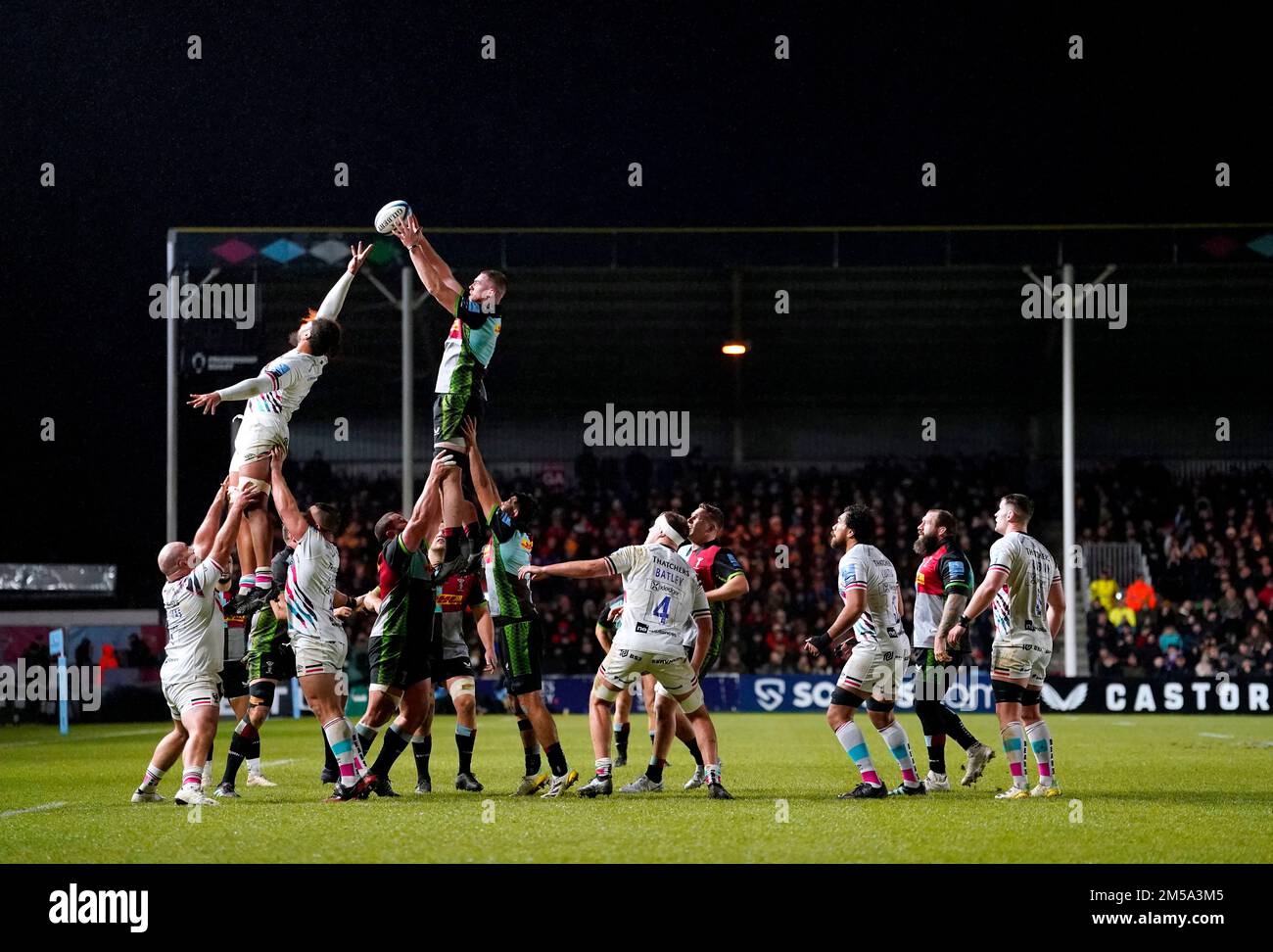 Harlequins lphli ampics hi-res stock photography and images - Alamy