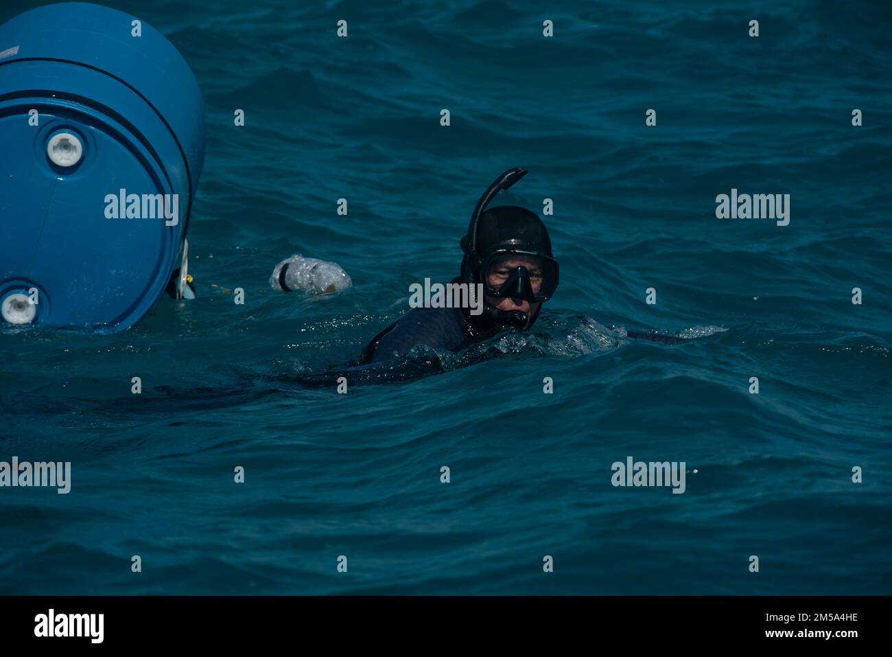 Largest Diving Organization