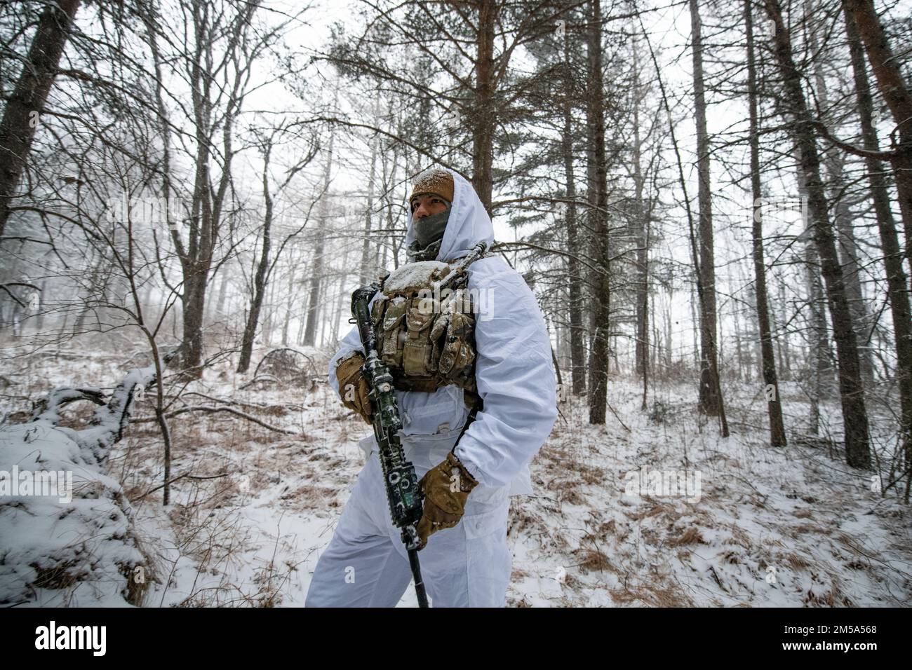 A U.S. Army paratrooper assigned to 1st Battalion, 503rd Parachute ...