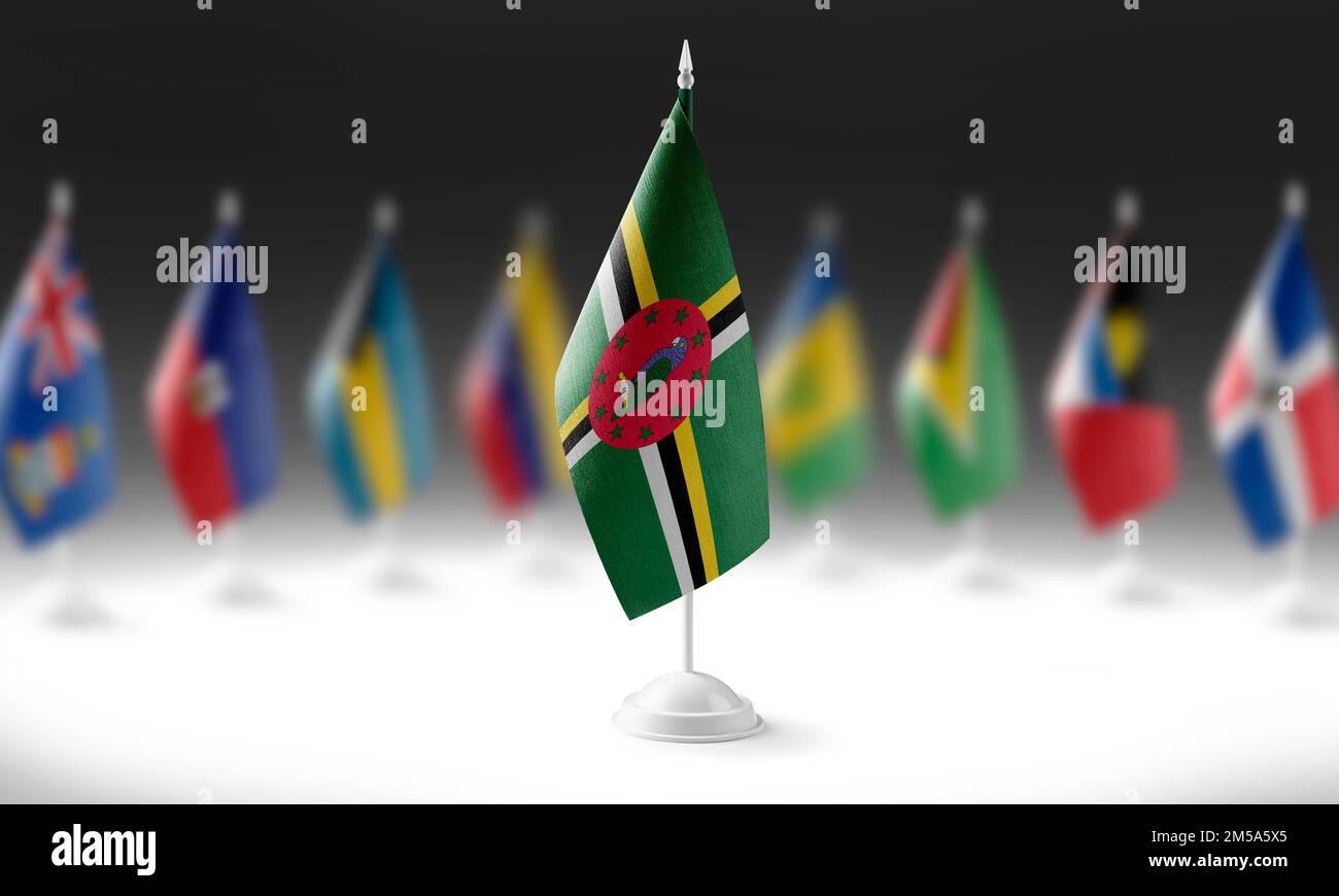 The national flag of the Dominica on the background of flags of other ...
