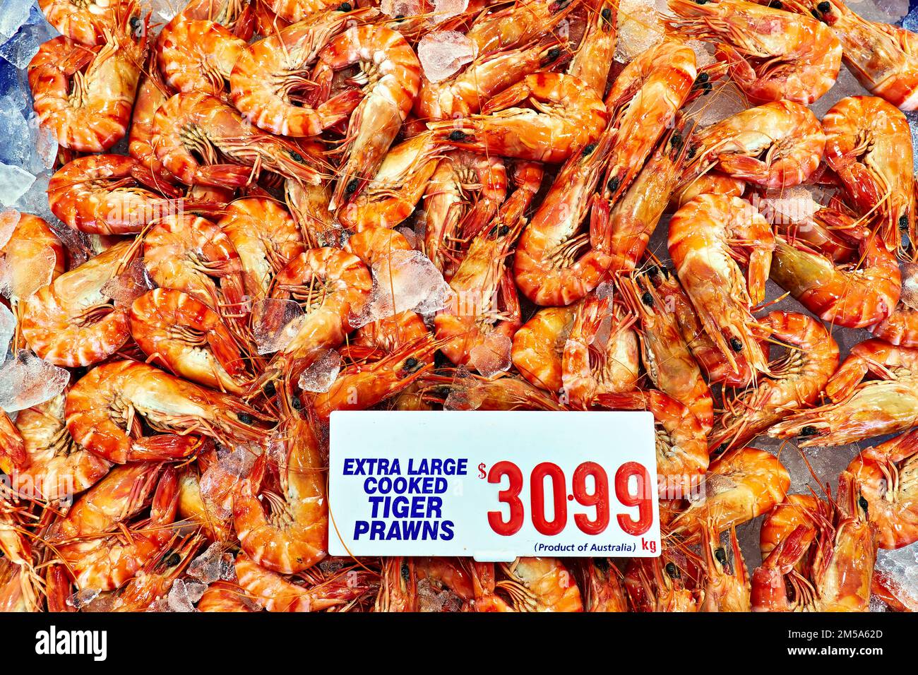 Sydney. New South Wales. Australia. The Fish Market. Tiger Prawns Stock ...
