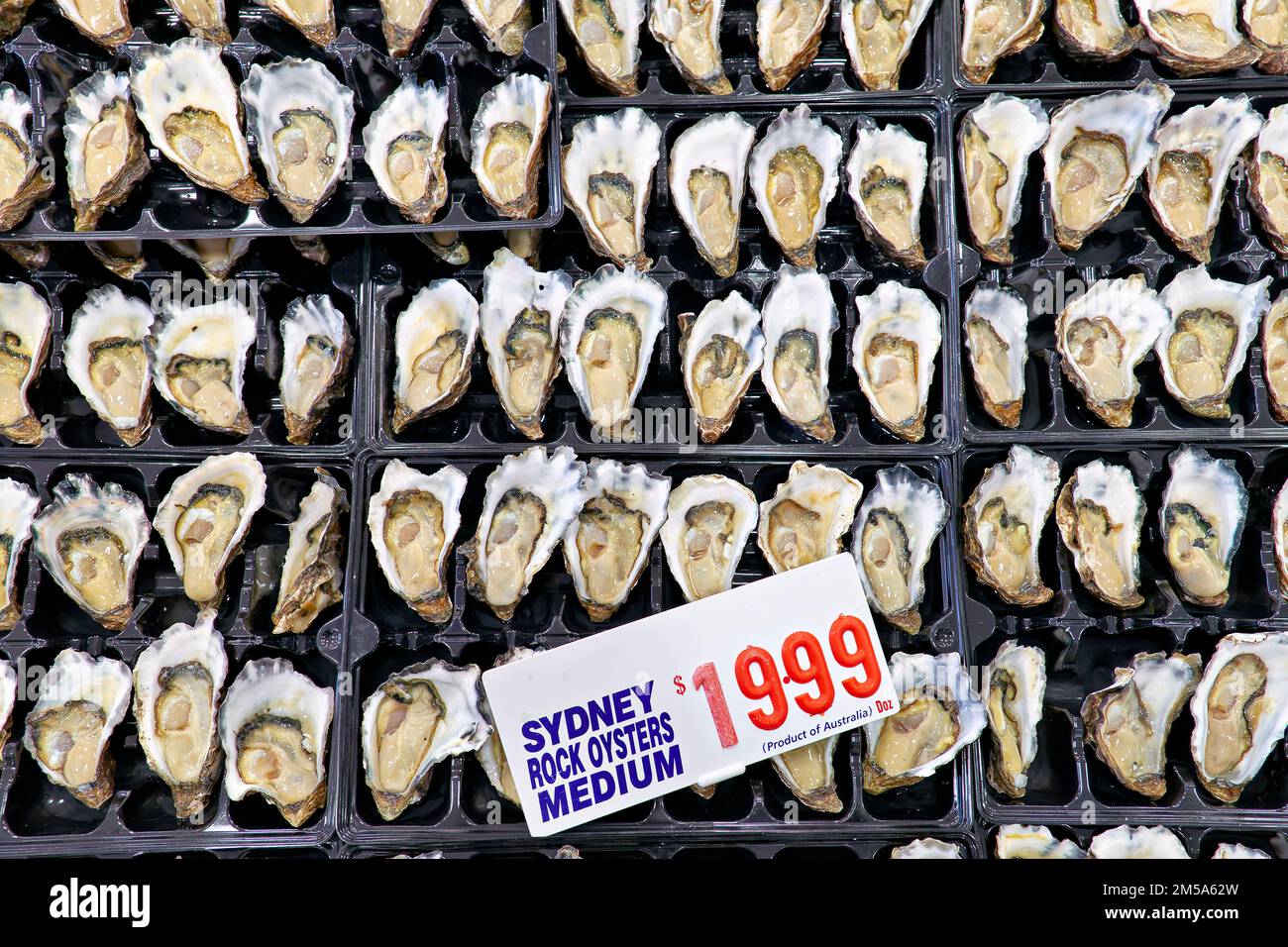 Jumbo pacific oysters hi-res stock photography and images - Alamy