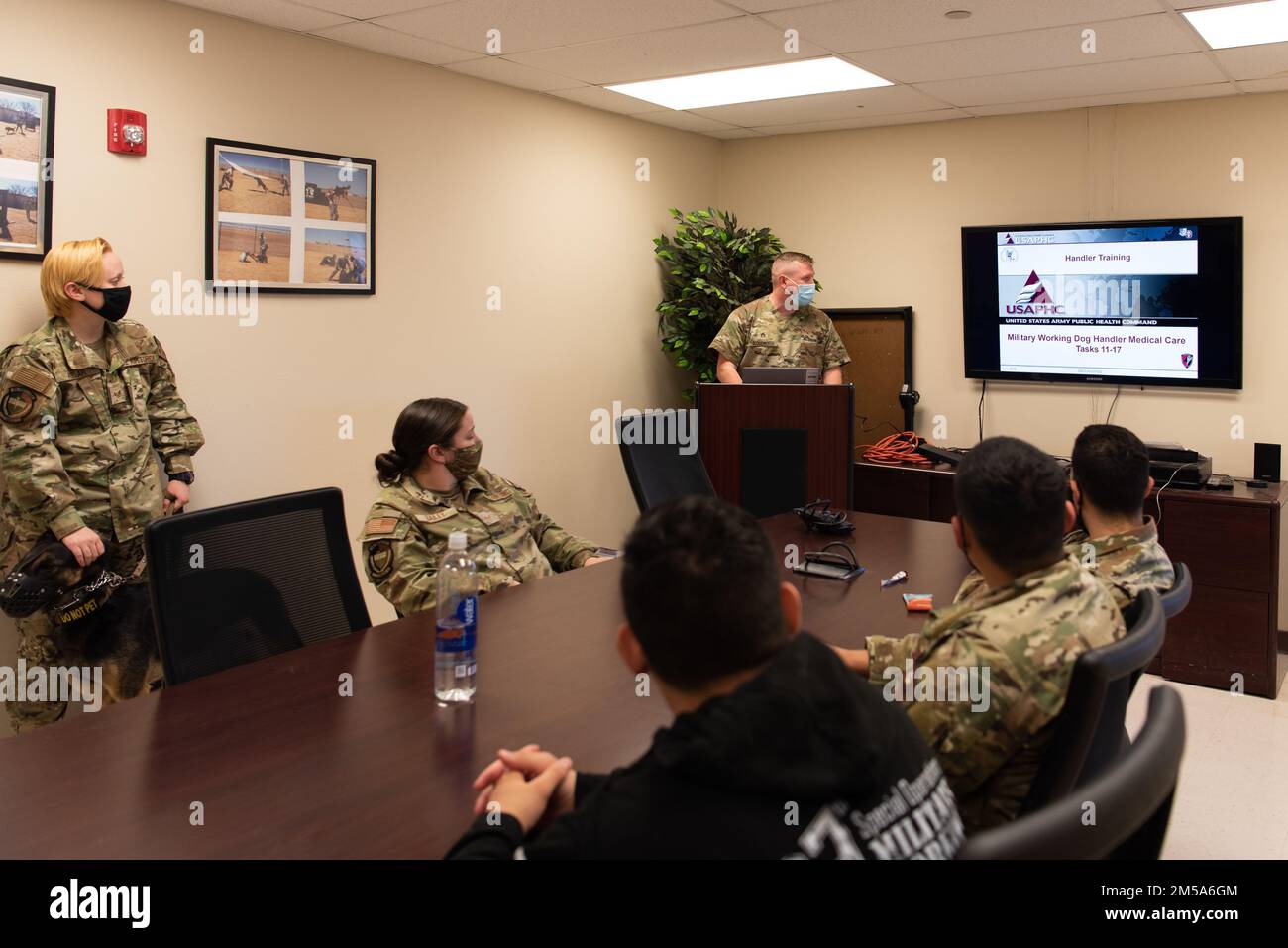 Special operations dogs hi-res stock photography and images - Alamy