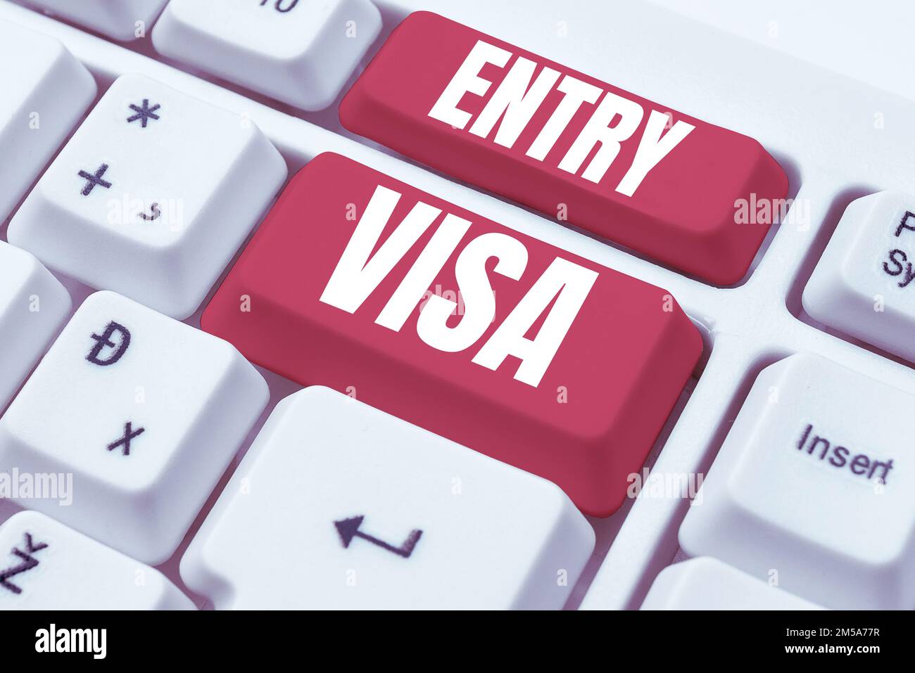 Text sign showing Entry Visa. Word Written on permission to enter a ...