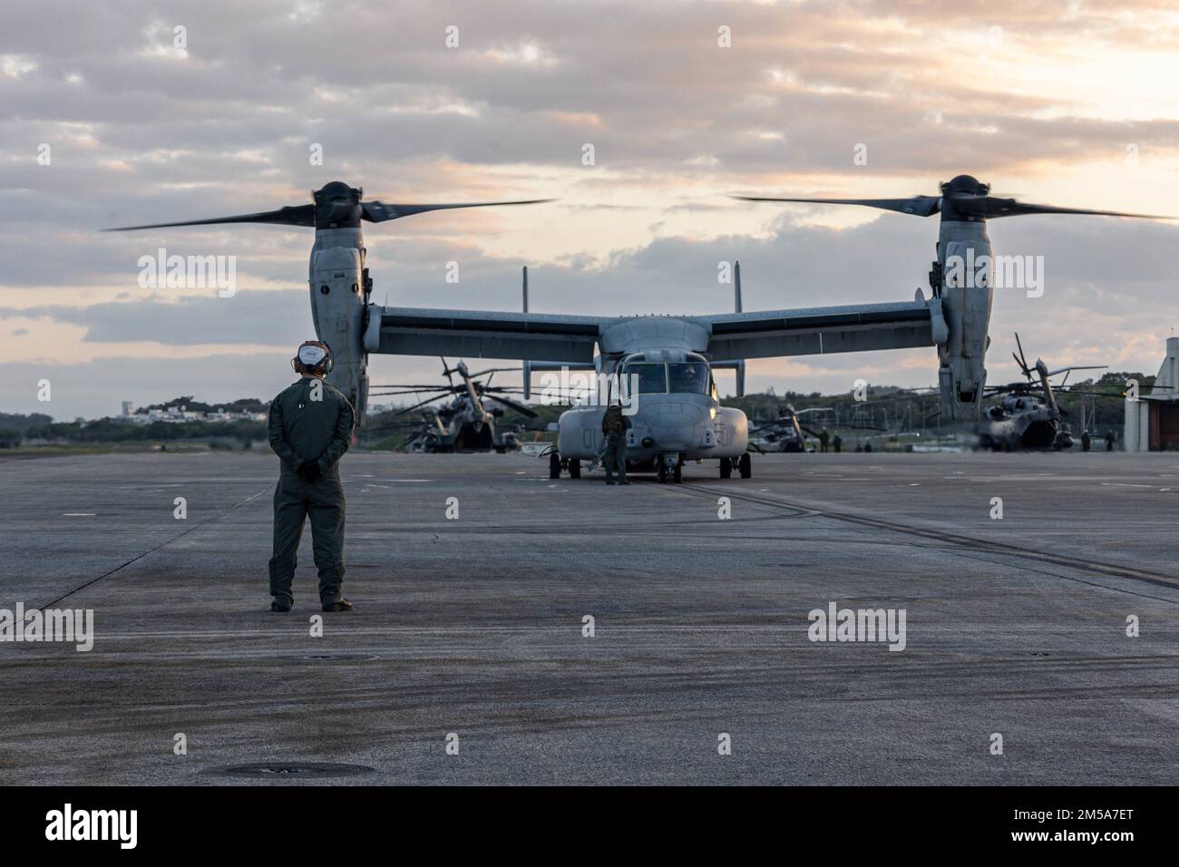 U.S. Marines with Marine Medium Tiltrotor Squadron 262 (VMM-262 ...