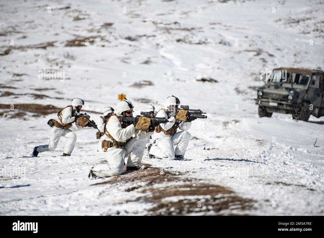 Italian soldiers from the 3rd Alpini Regiment conduct a team movement live fire exercise during ...