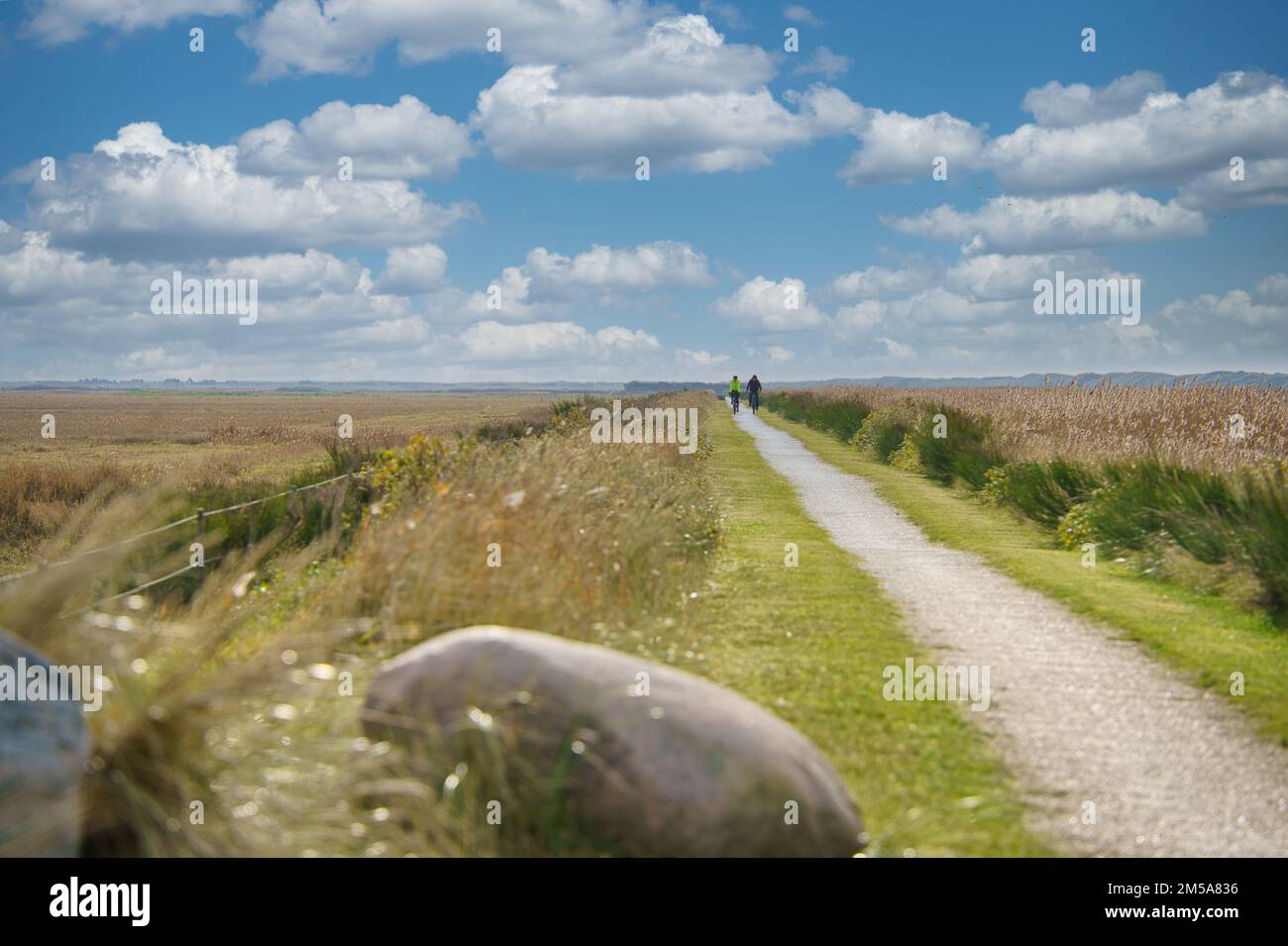 A couple is driving on their cycles on the scenic countryside road in ...