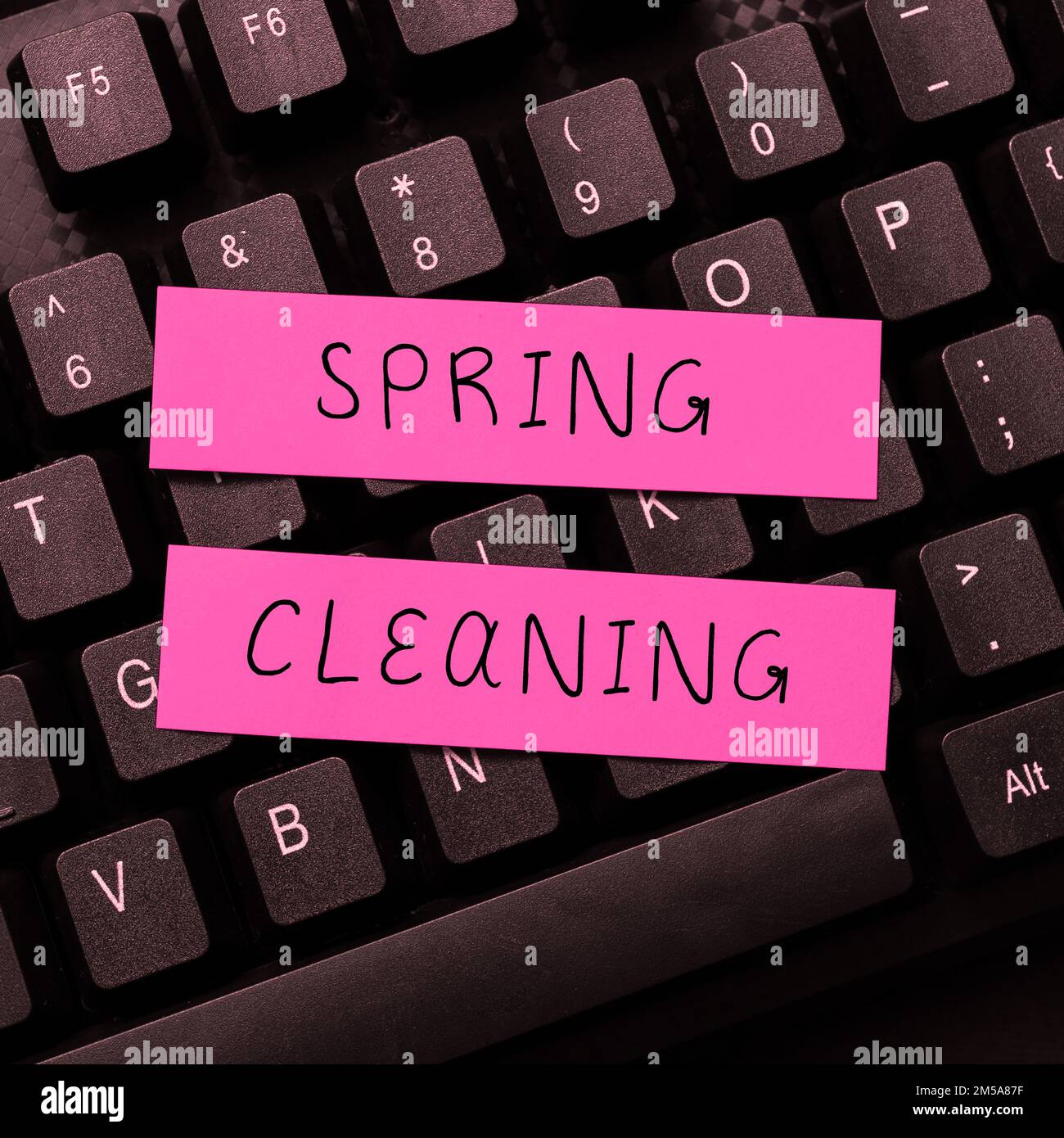 Text showing inspiration Spring Cleaning. Conceptual photo practice of ...