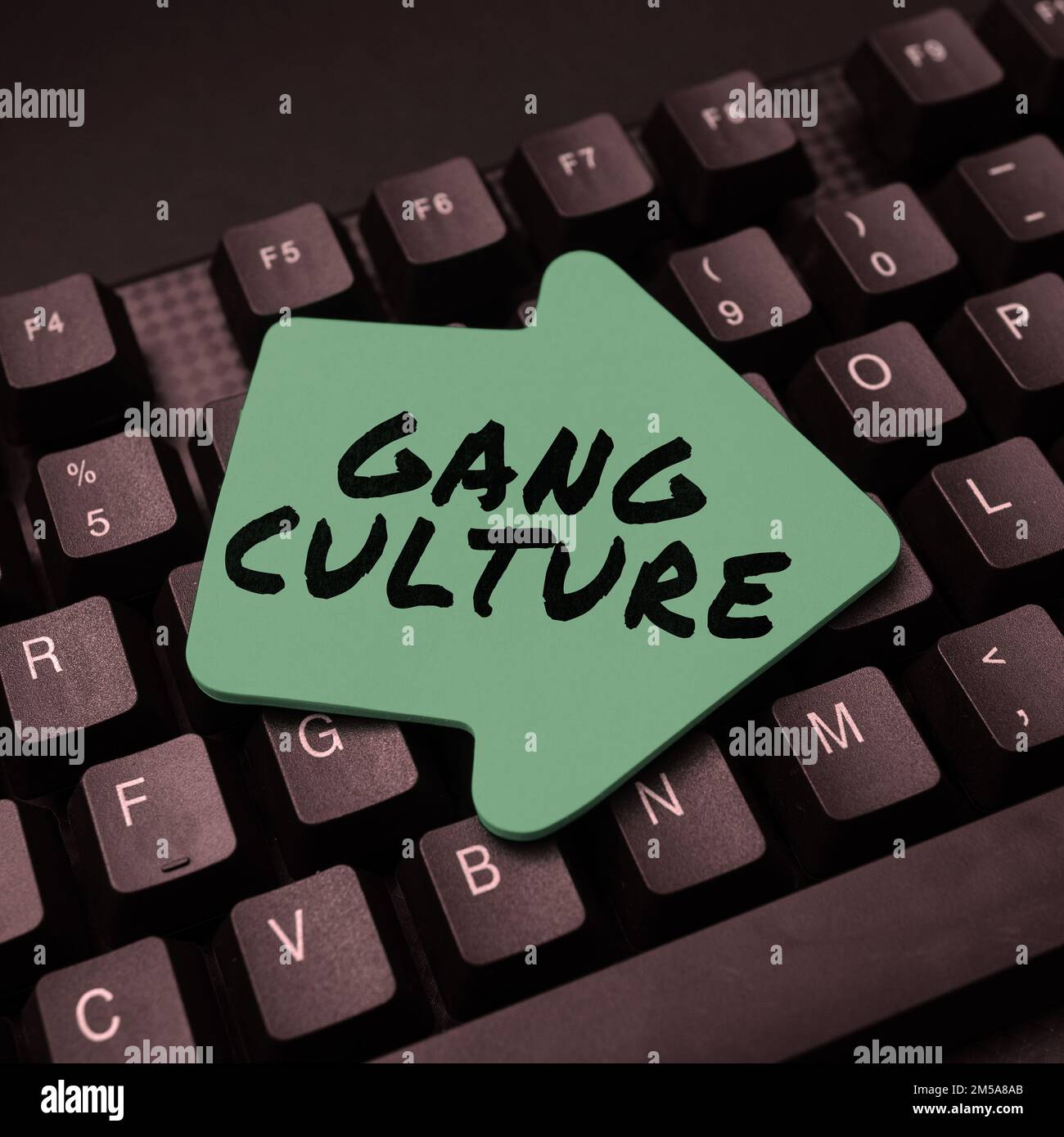 Hand writing sign Gang Culture. Concept meaning particular organization of criminals or group of ...