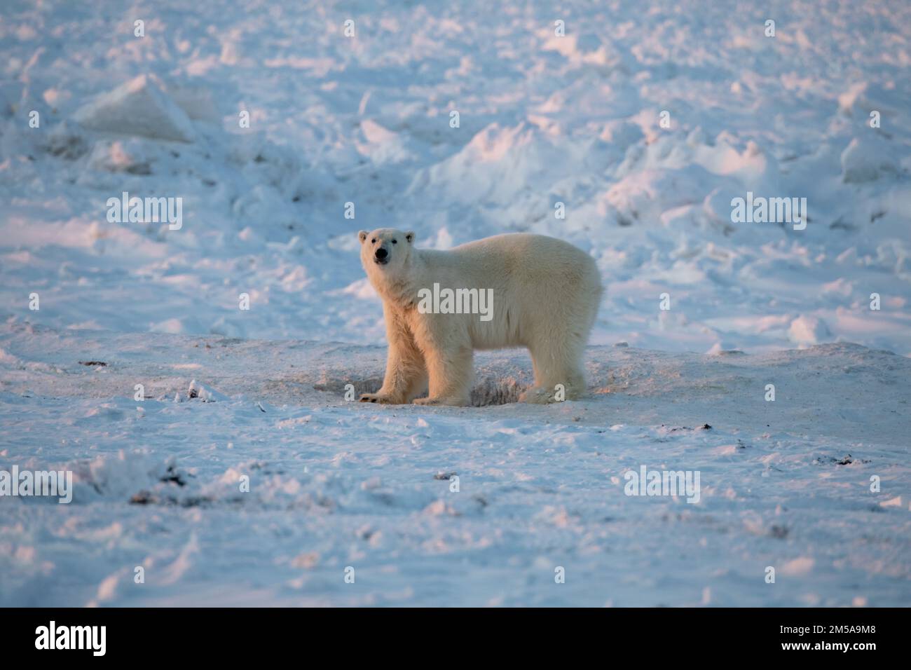 611th acoms hi-res stock photography and images - Alamy