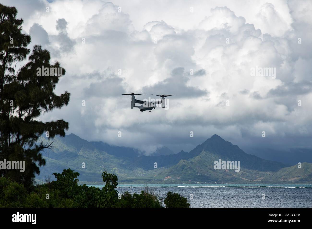 A U.S. Marine MV-22B Osprey aircraft assigned to Marine Medium ...