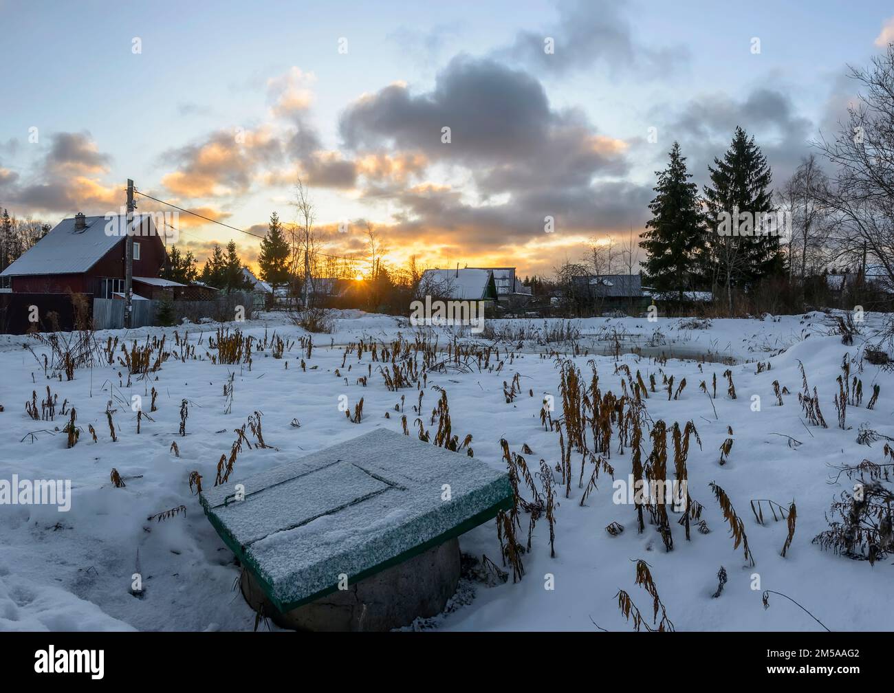 Sunny sunrise on a garden plot in the month of December Stock Photo - Alamy