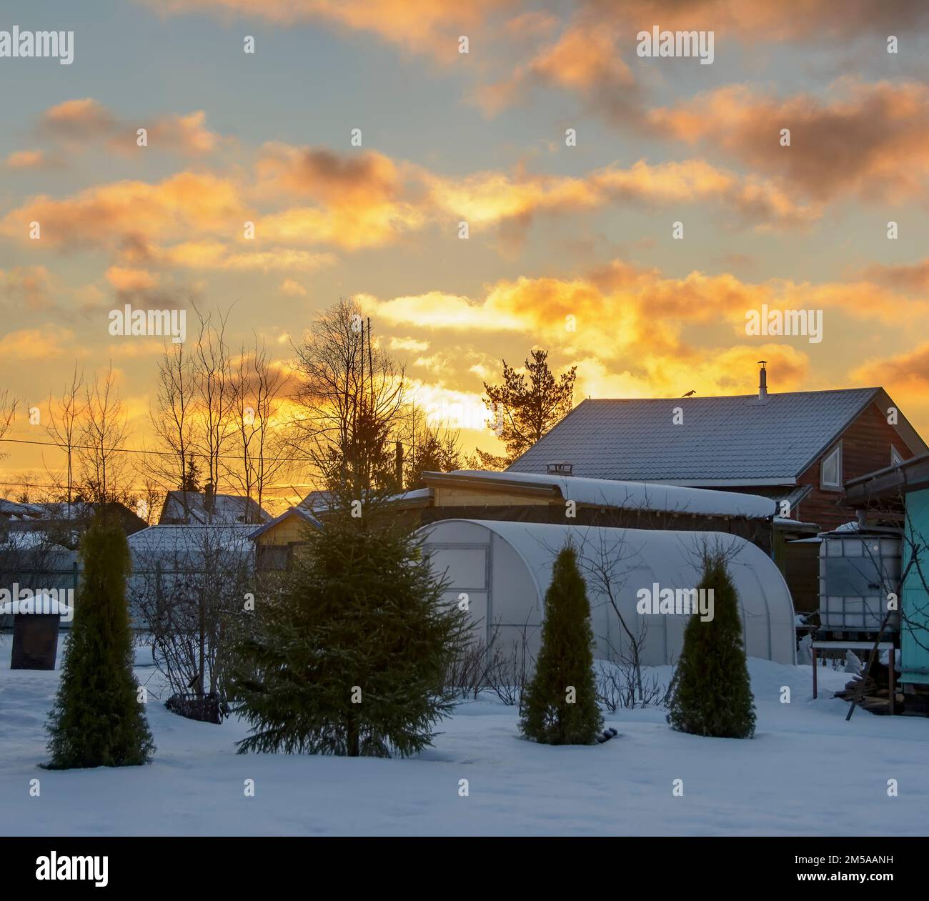 Sunny sunrise on a garden plot in the month of December Stock Photo - Alamy