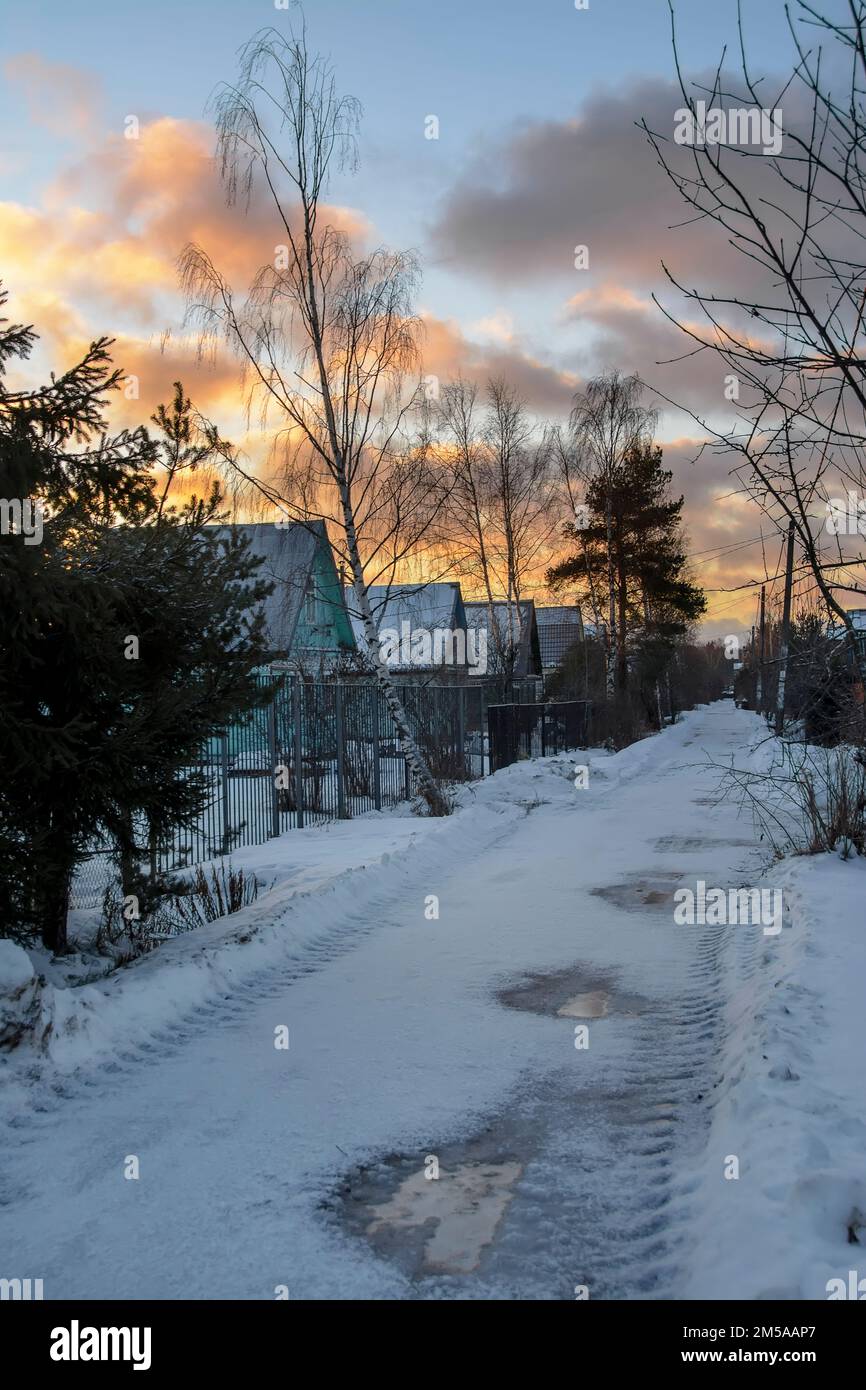 Sunny sunrise on a garden plot in the month of December Stock Photo - Alamy