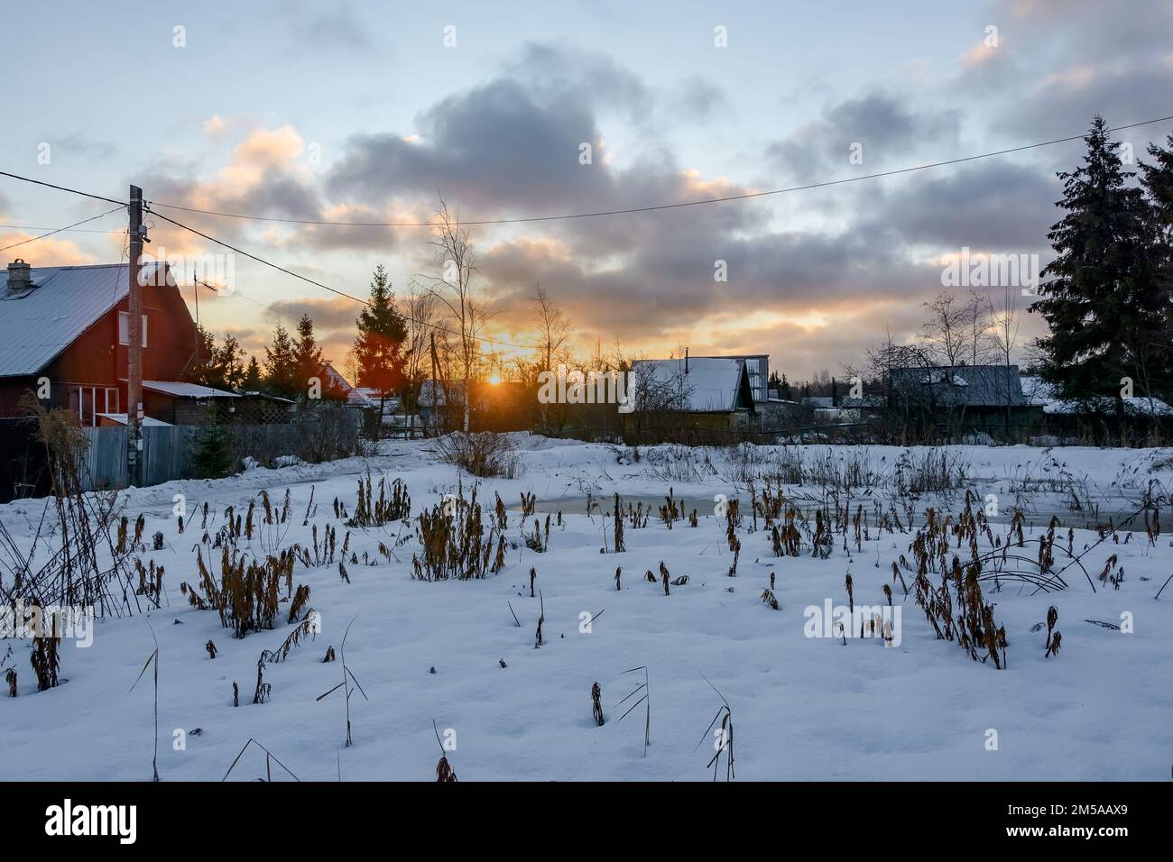 Sunny sunrise on a garden plot in the month of December Stock Photo - Alamy
