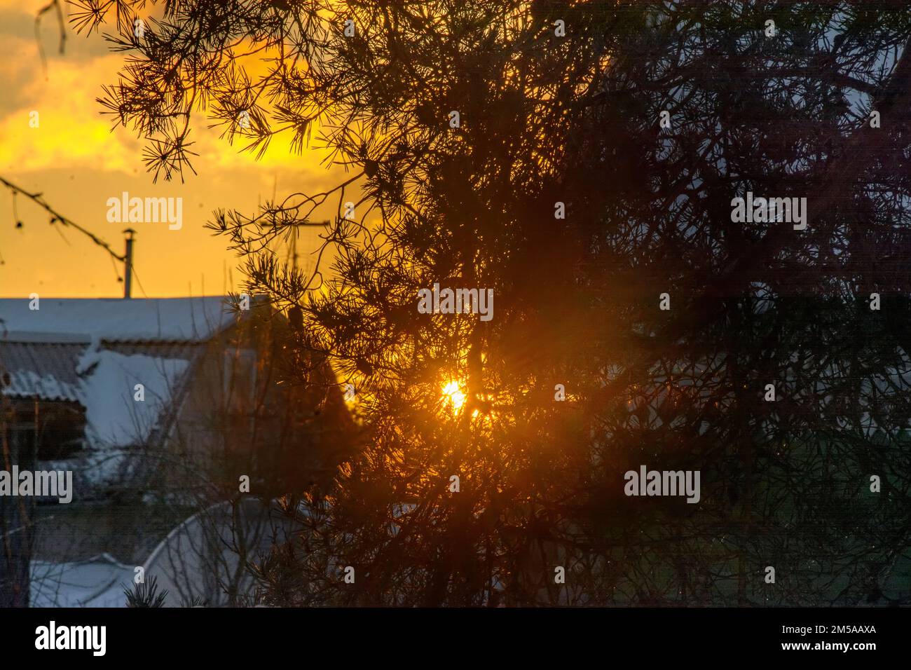Sunny sunrise on a garden plot in the month of December Stock Photo - Alamy