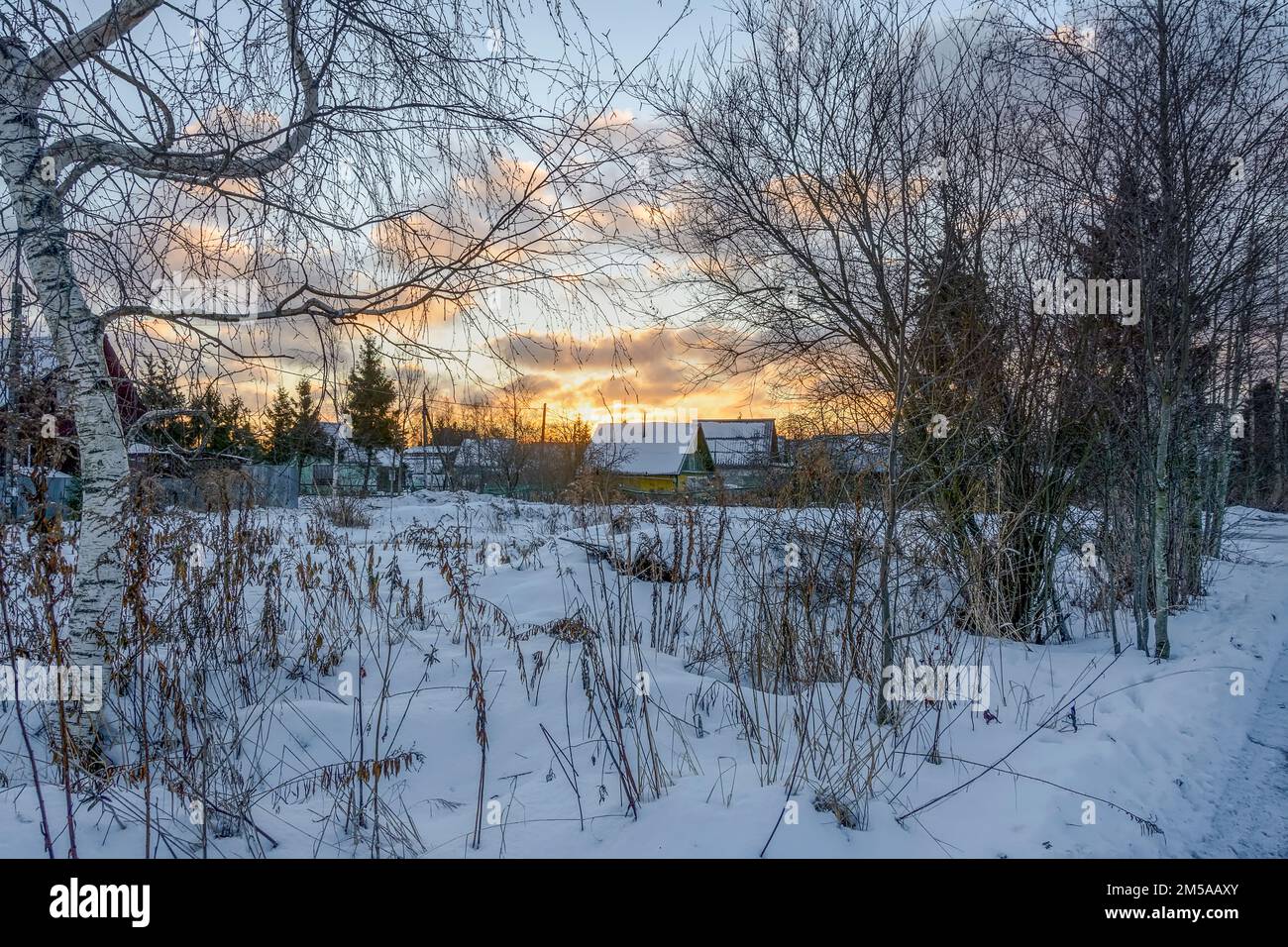 Sunny sunrise on a garden plot in the month of December Stock Photo - Alamy