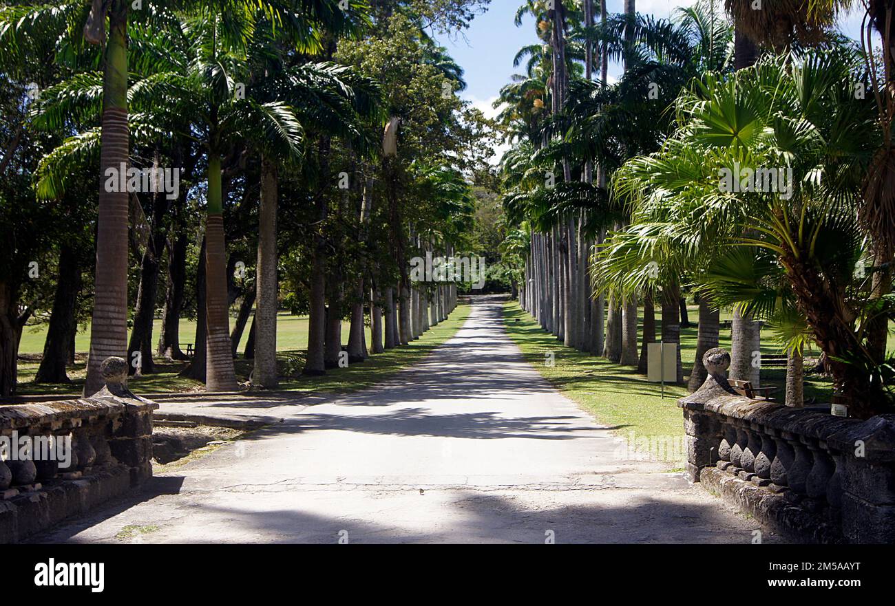 Basheba, east coast, island of Barbados Stock Photo - Alamy