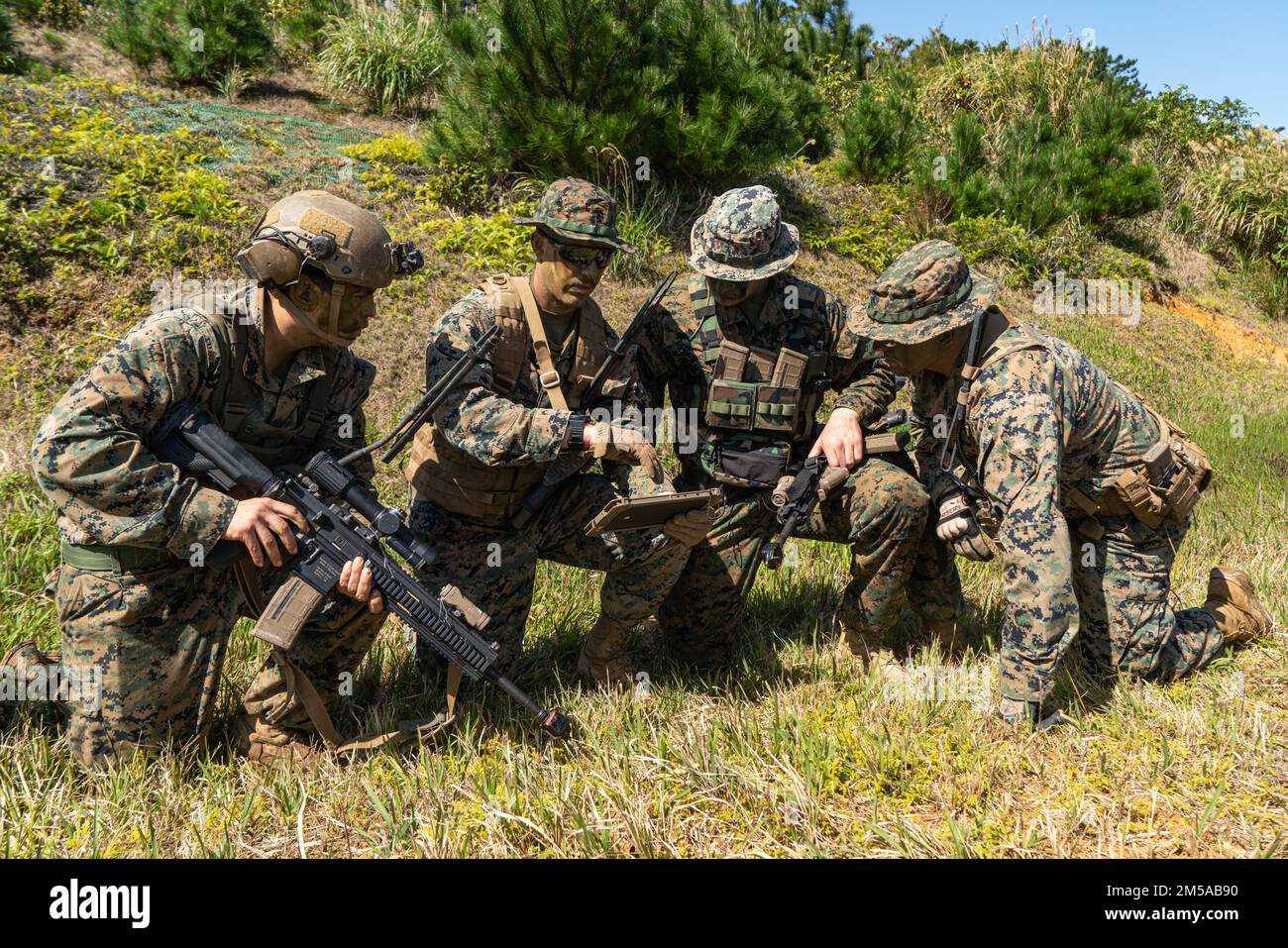 U.S. Marines with 1st Battalion, 3d Marines, 3d Marine Division ...