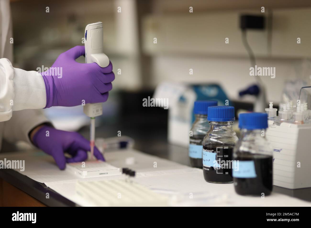 U.S. Army Engineer Research and Development Center (ERDC) researchers ...