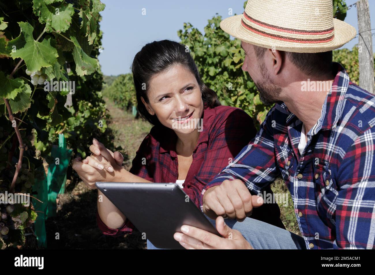 Charming female taking care hi-res stock photography and images - Alamy