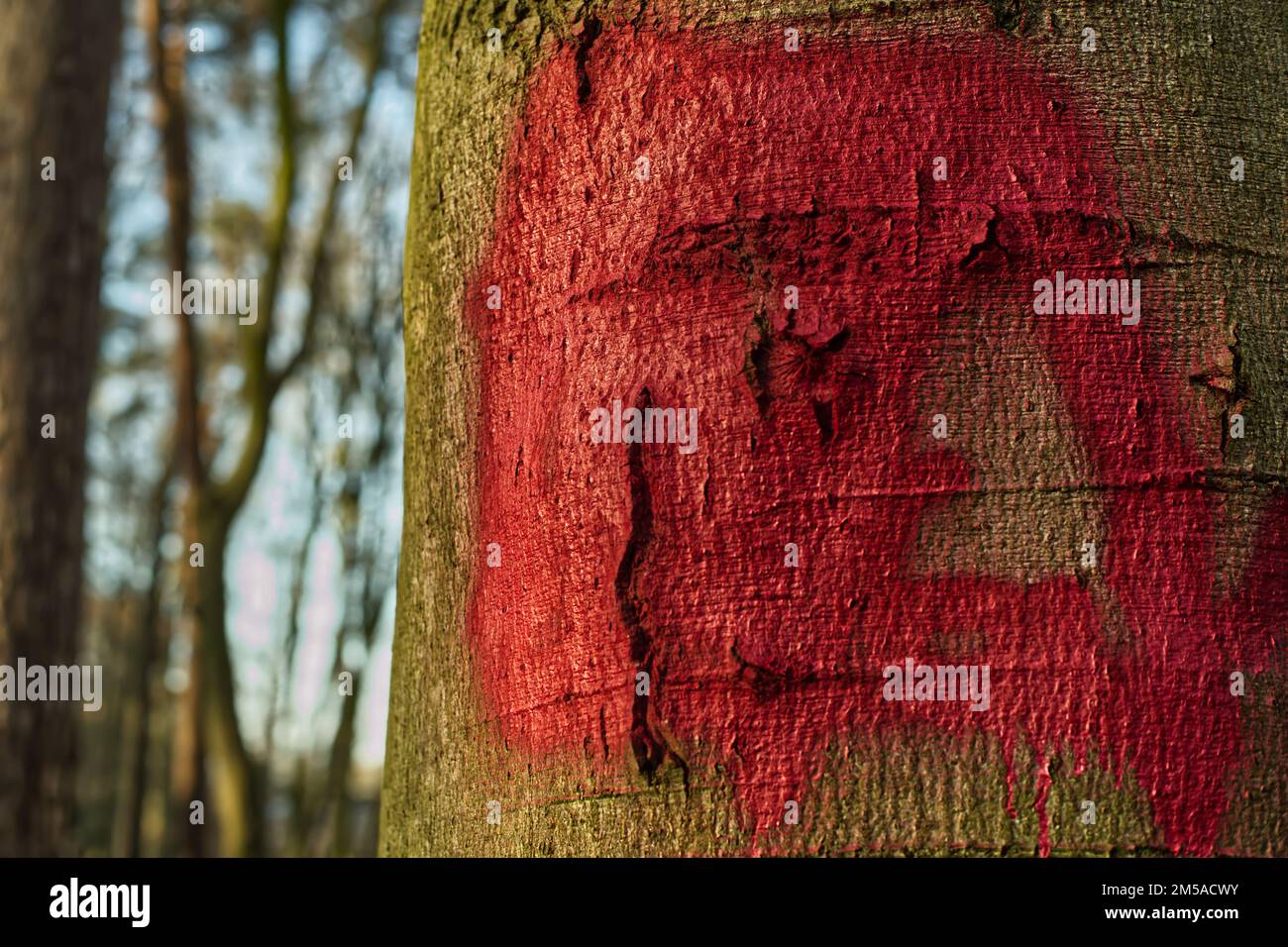 Painted red warning sign at the bark of a trunk (letter A recognizable ...
