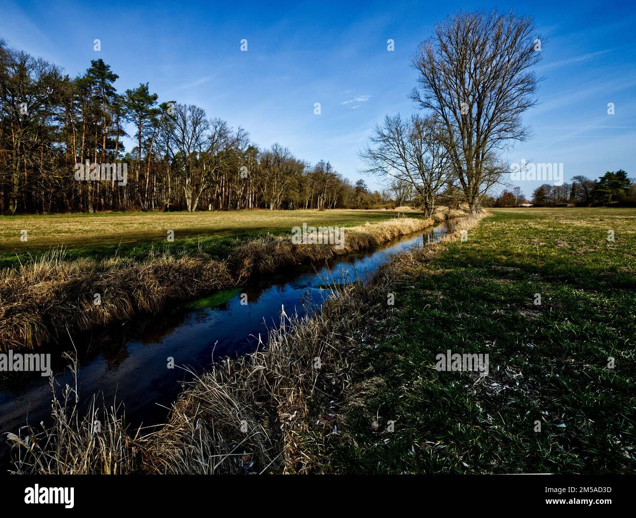 Rural area with a rectilinear stream, green grassland and some trees in ...