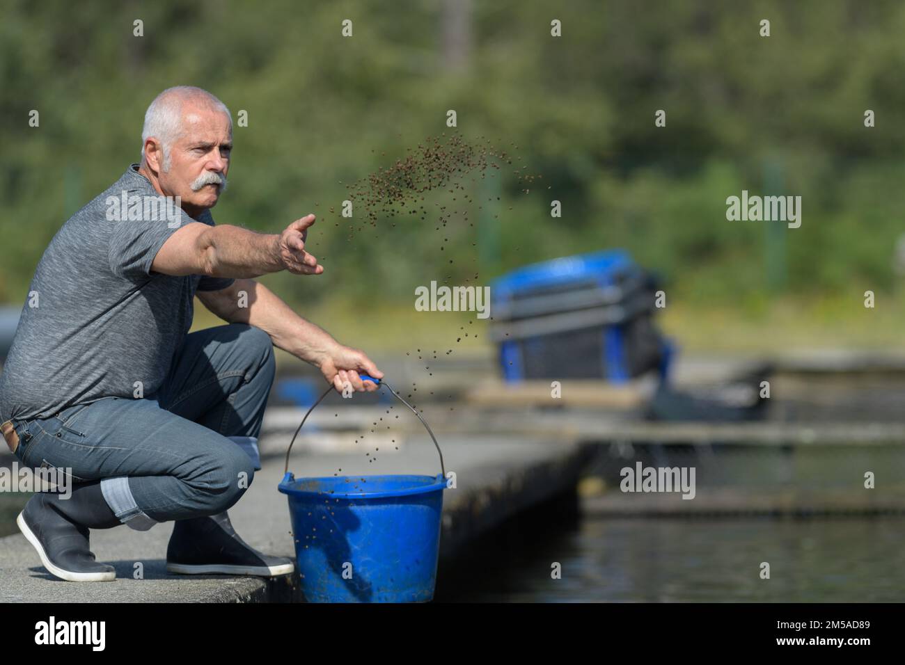 portrait of man and catfish Stock Photo - Alamy