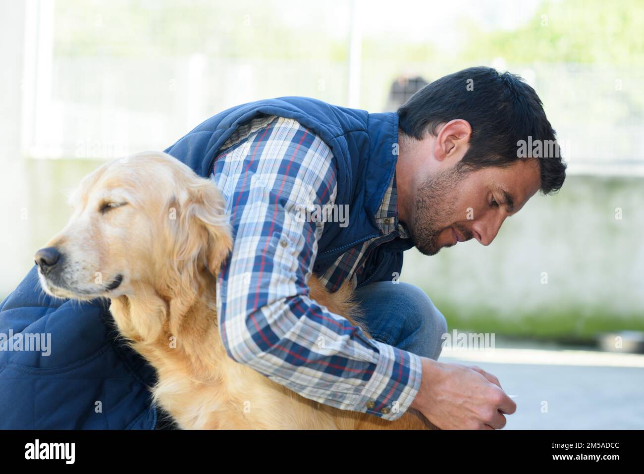 happy vet doctor and one of his fluffy patients Stock Photo - Alamy