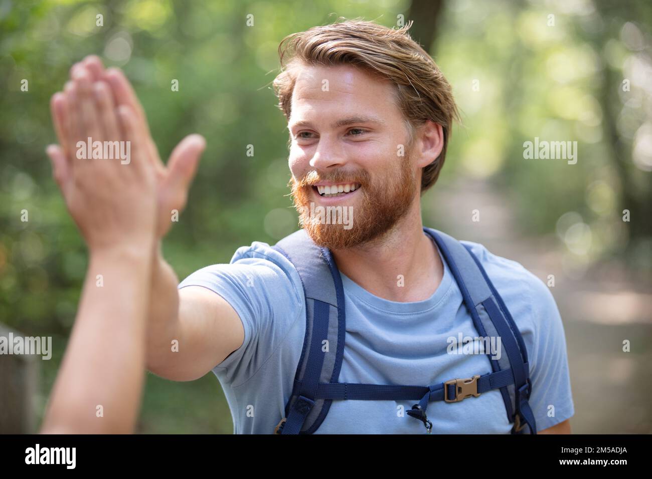 high five in the forest Stock Photo - Alamy